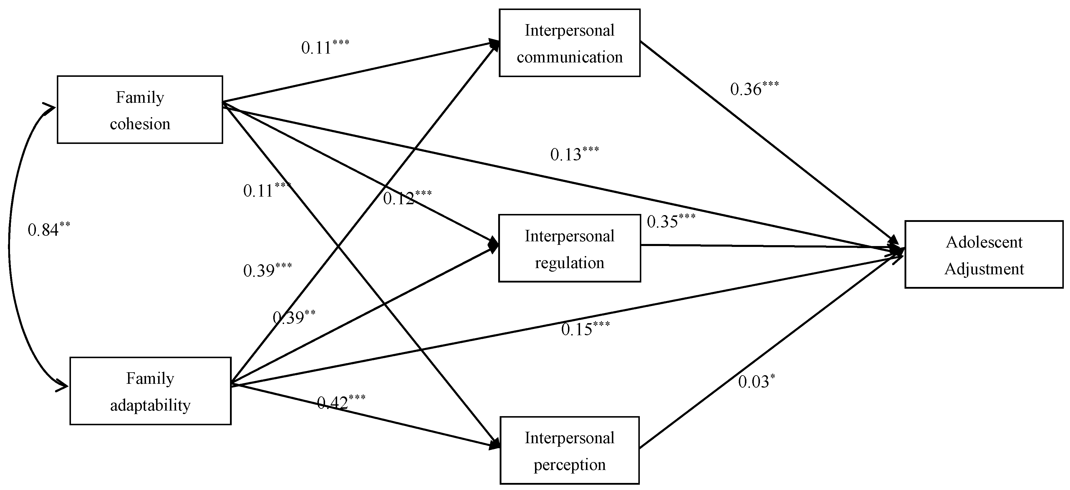 How Family Functioning Shapes Adolescent Adjustment: The Mediating Role ...