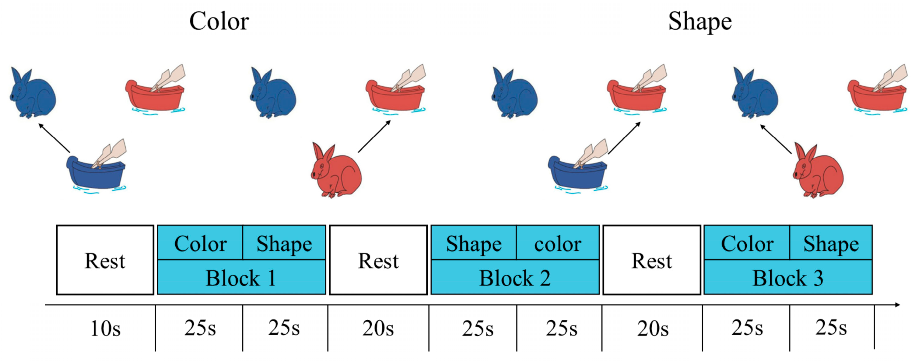 The Effects of Acute Cognitively Engaging Physical Activity on ...