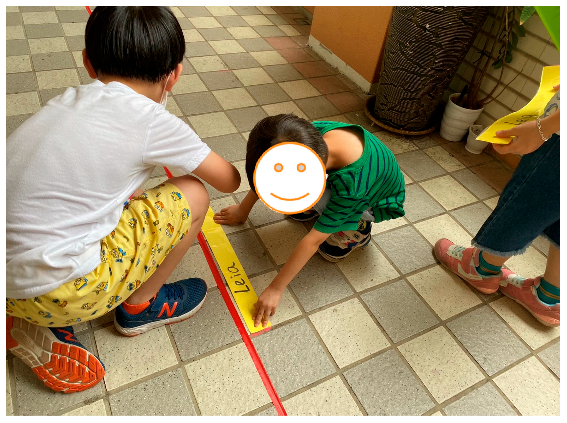 Promoting Mathematics Learning in Young Children Through the Use of ...
