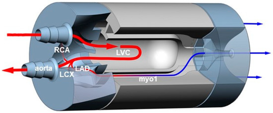 A Multimodality Myocardial Perfusion Phantom: Initial Quantitative ...