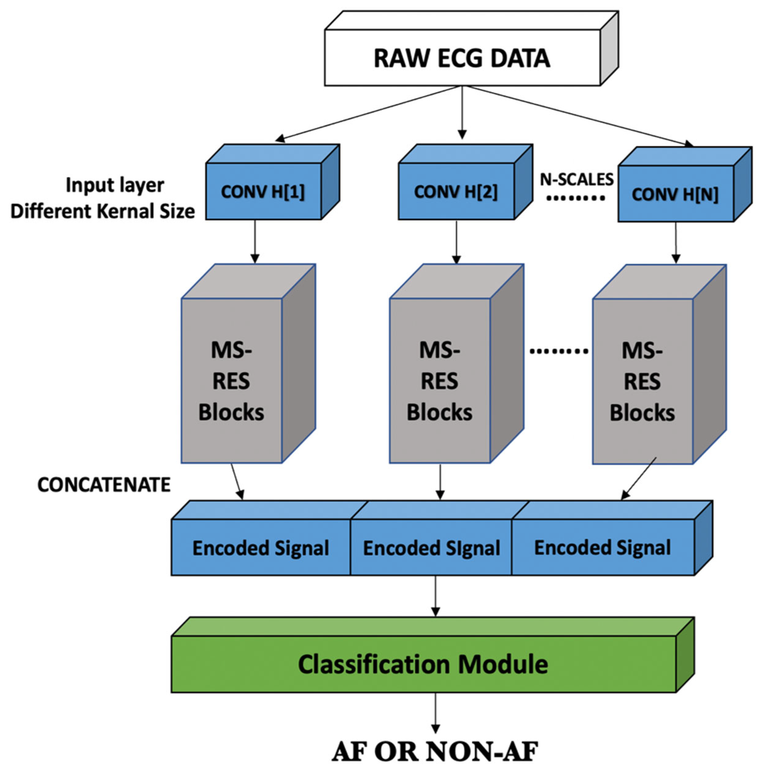 Bioengineering | Free Full-Text | Multiscale Encoding of Electrocardiogram Signals with a ...