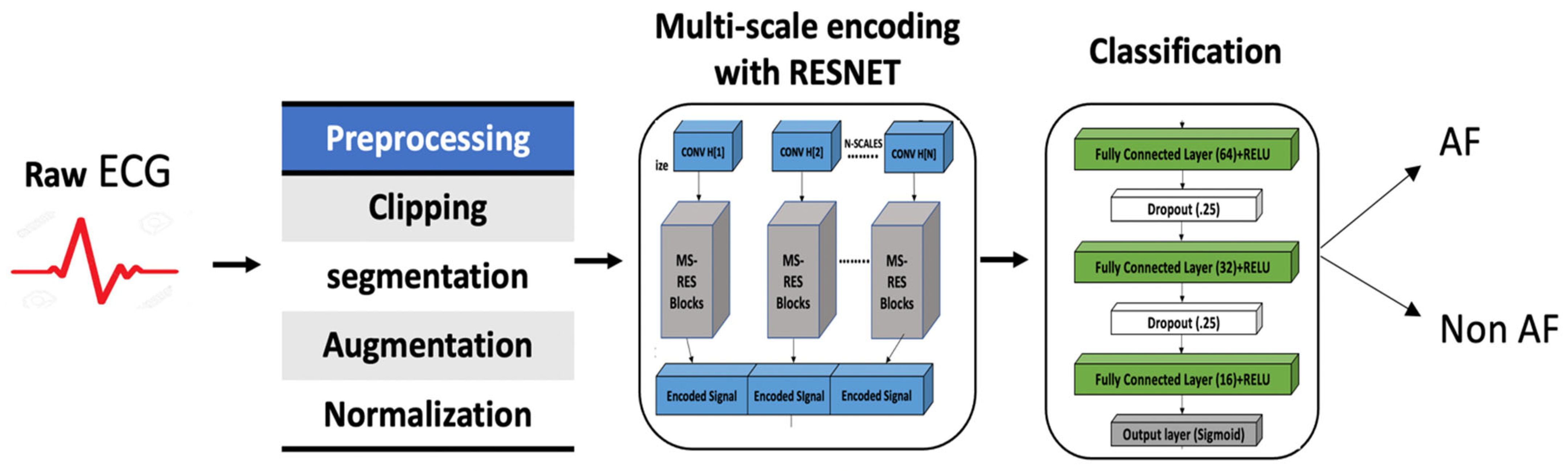 Bioengineering | Free Full-Text | Multiscale Encoding of Electrocardiogram Signals with a ...