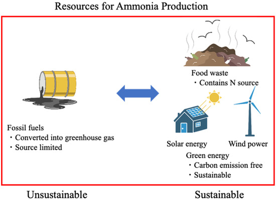 Ammonia Production Using Bacteria and Yeast toward a Sustainable Society
