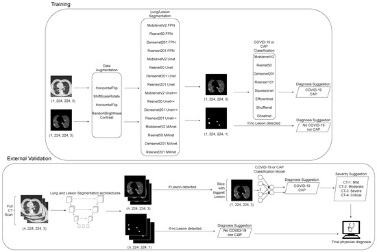Automatic COVID-19 and Common-Acquired Pneumonia Diagnosis Using Chest ...