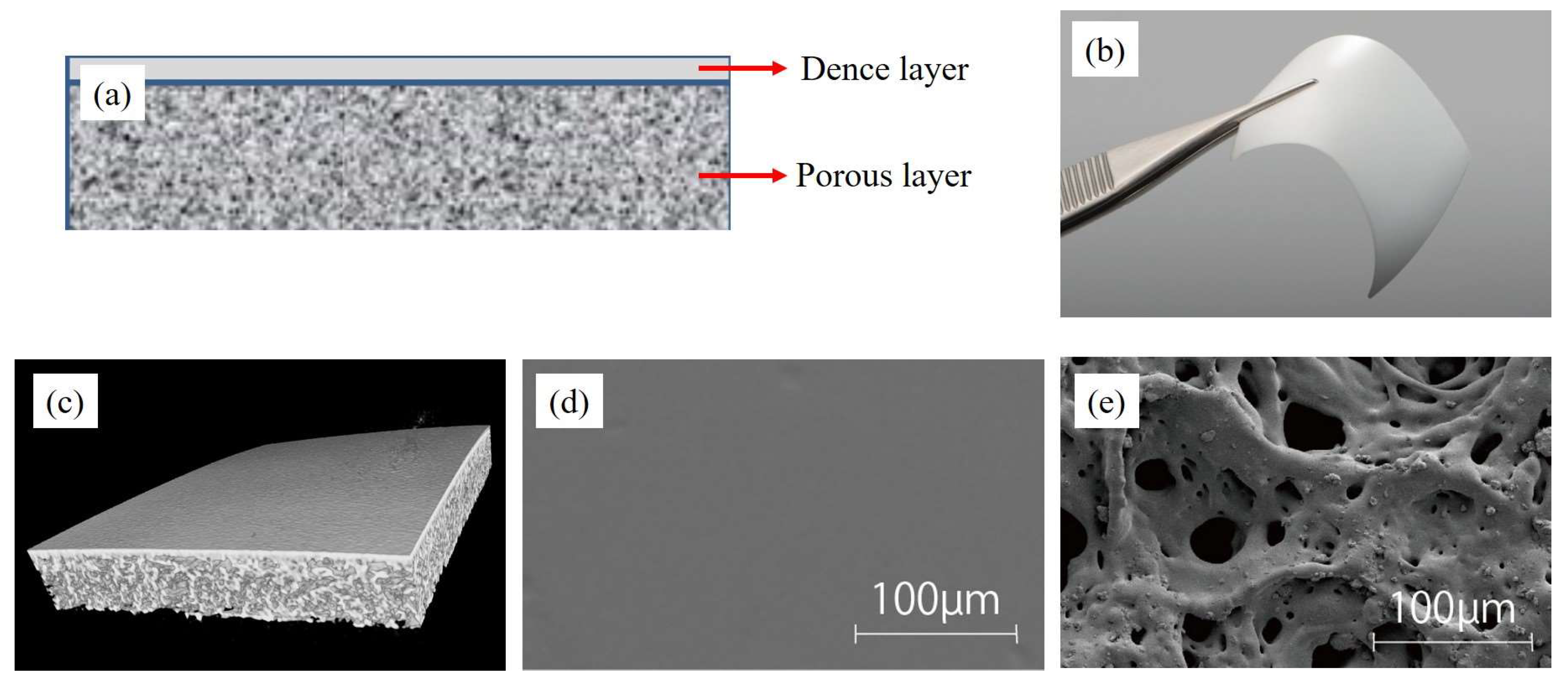 The Effectiveness and Practicality of a Novel Barrier Membrane for the ...