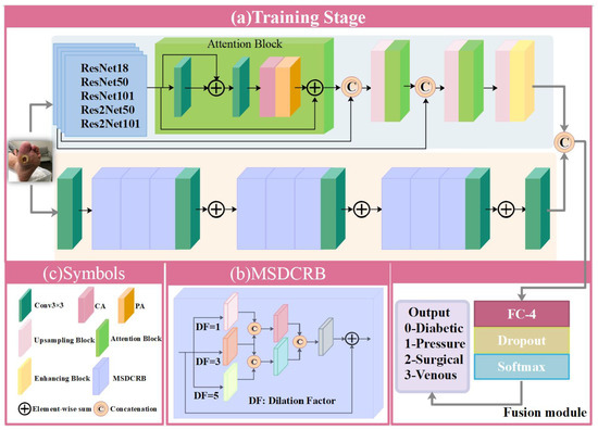 Multi-Class Wound Classification via High and Low-Frequency Guidance Network