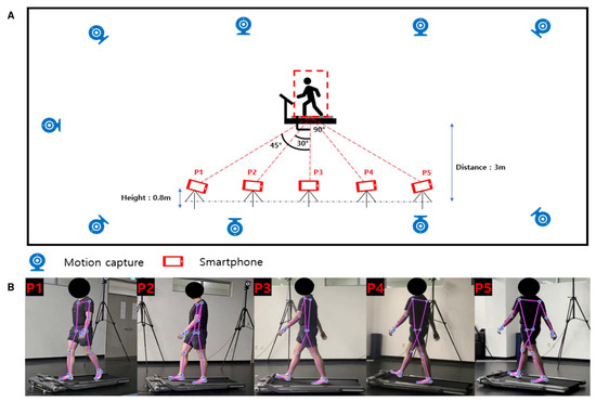 Improving Gait Analysis Techniques with Markerless Pose Estimation ...