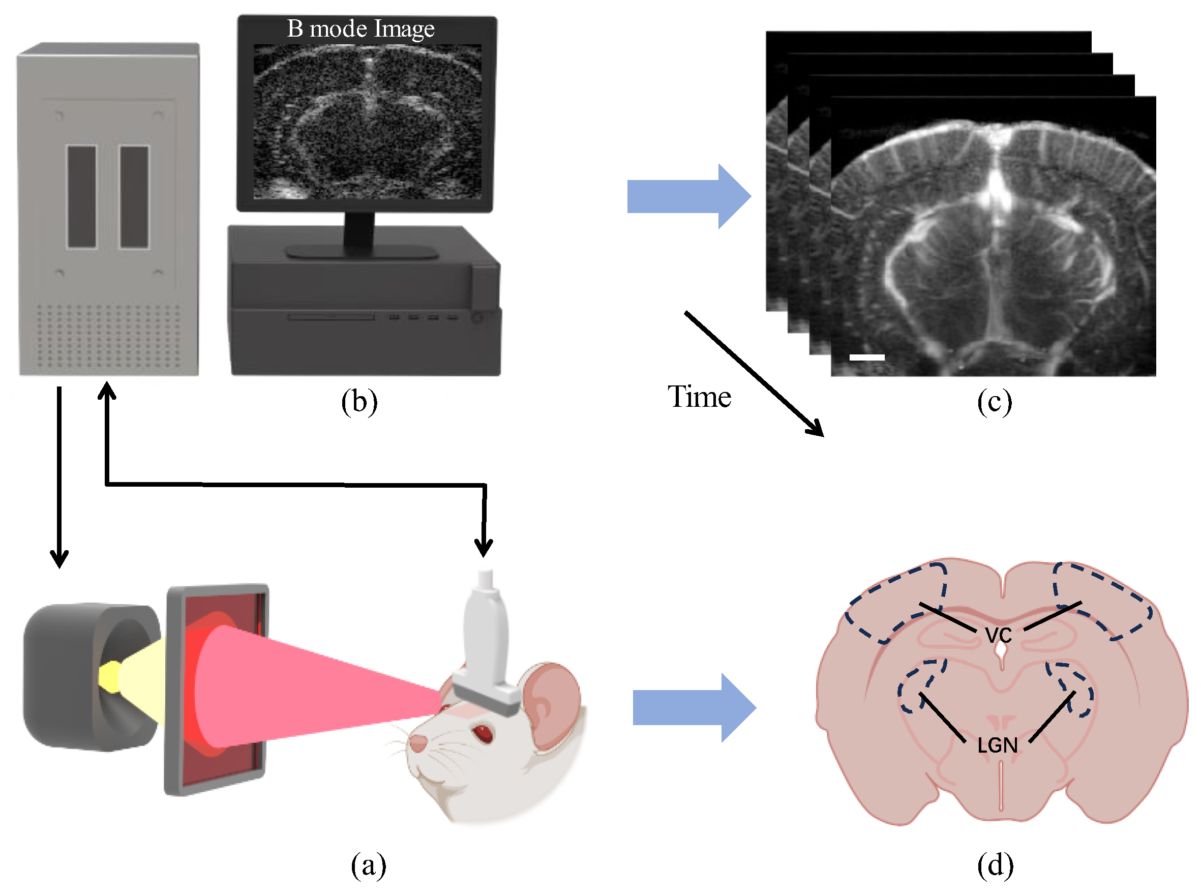 Ultrasound Flow Imaging Study On Rat Brain With Ultrasound And Light Ultrasound Flow Imaging Study On Rat Brain With Ultrasound And Light