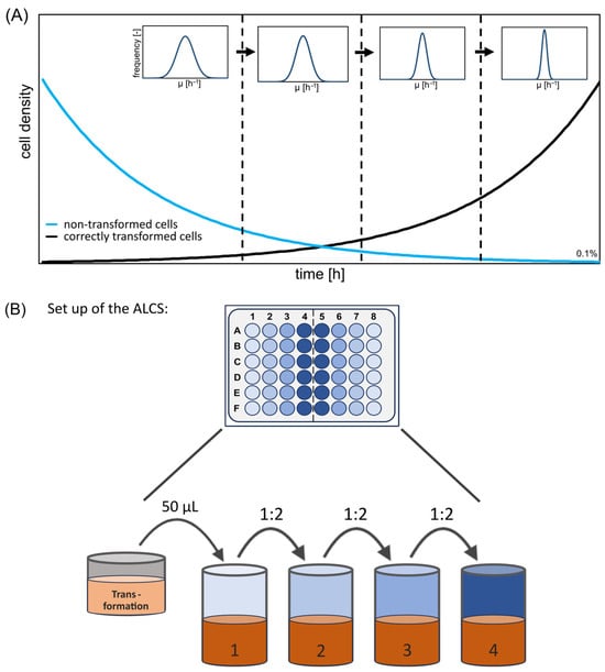 Bioengineering | An Open Access Journal from MDPI