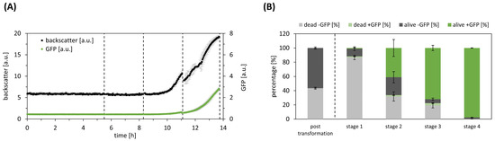 Bioengineering | An Open Access Journal from MDPI