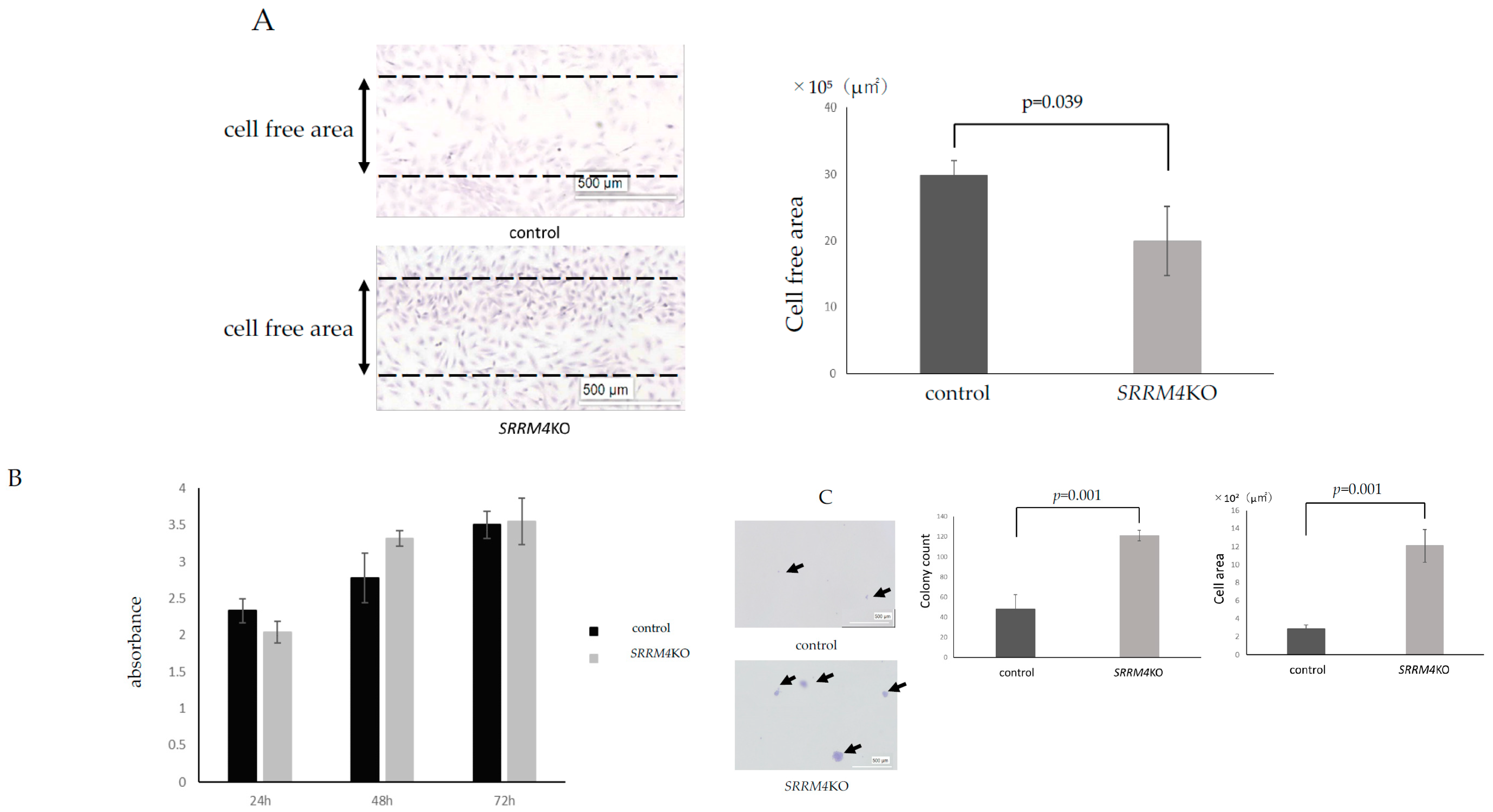 SRRM4 Knockout Helps the Human Mesenchymal Stem Cell Line to Penetrate ...