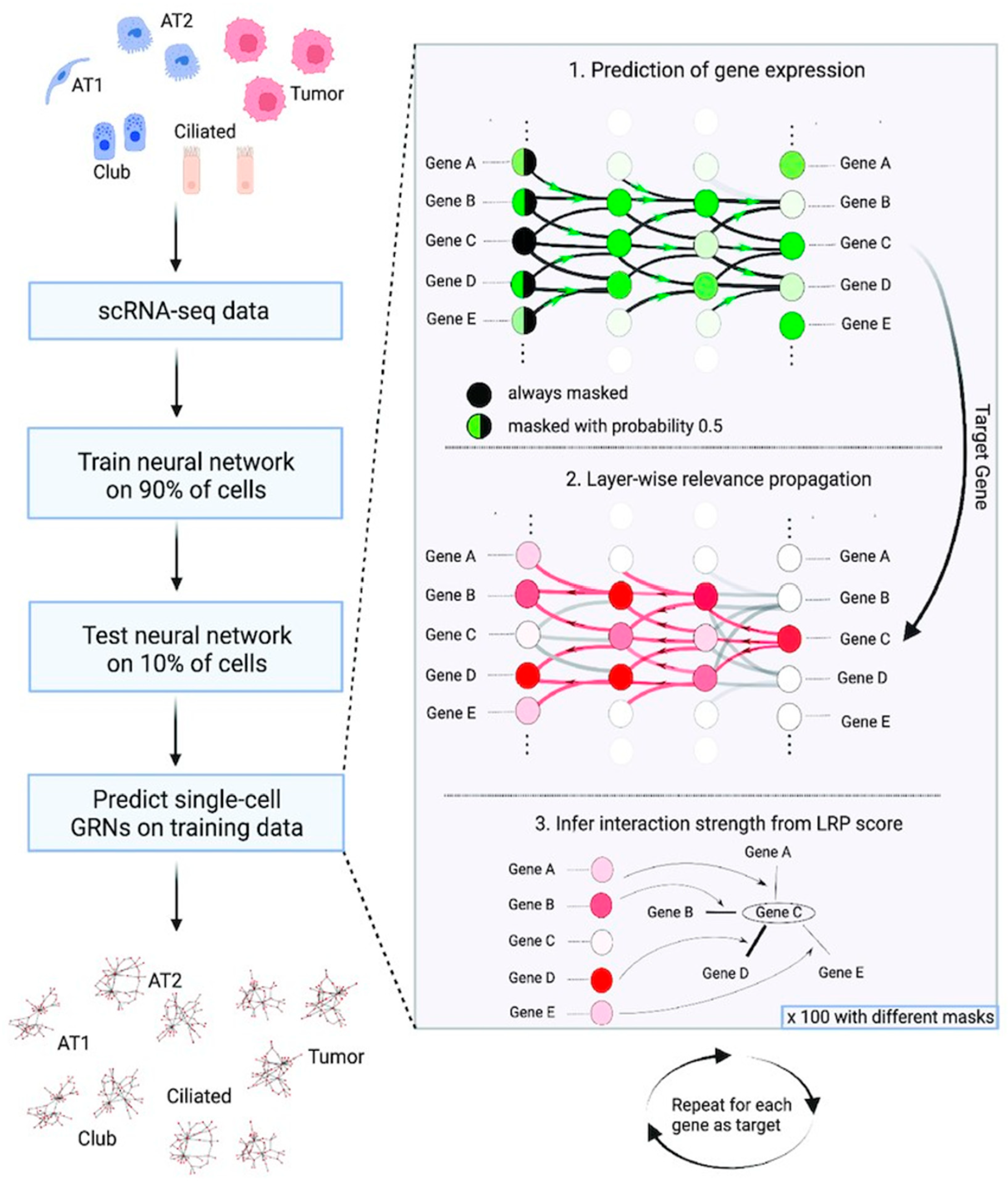 Artificial Intelligence Driven Innovation: Advancing Mesenchymal Stem ...