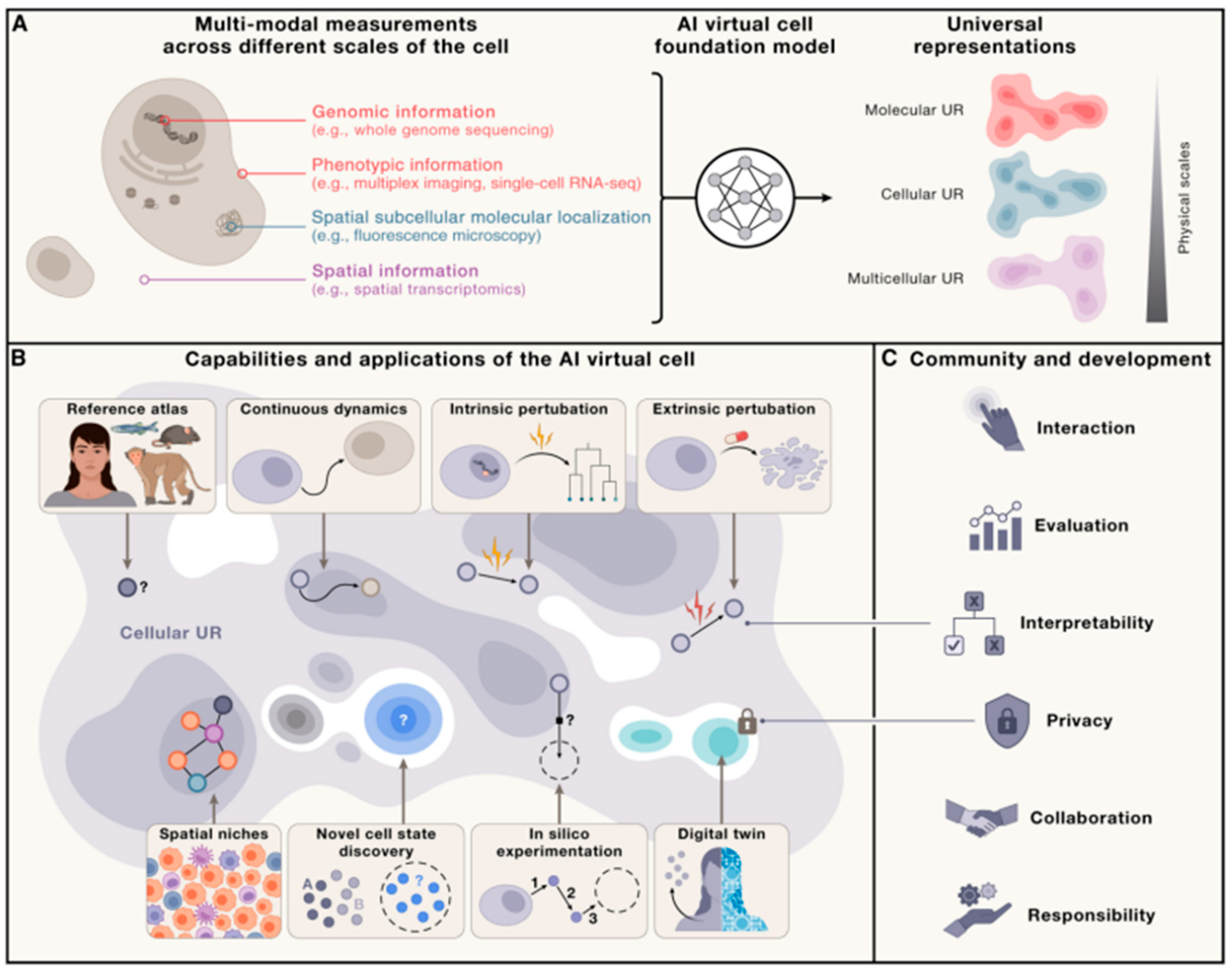 Artificial Intelligence Driven Innovation: Advancing Mesenchymal Stem ...