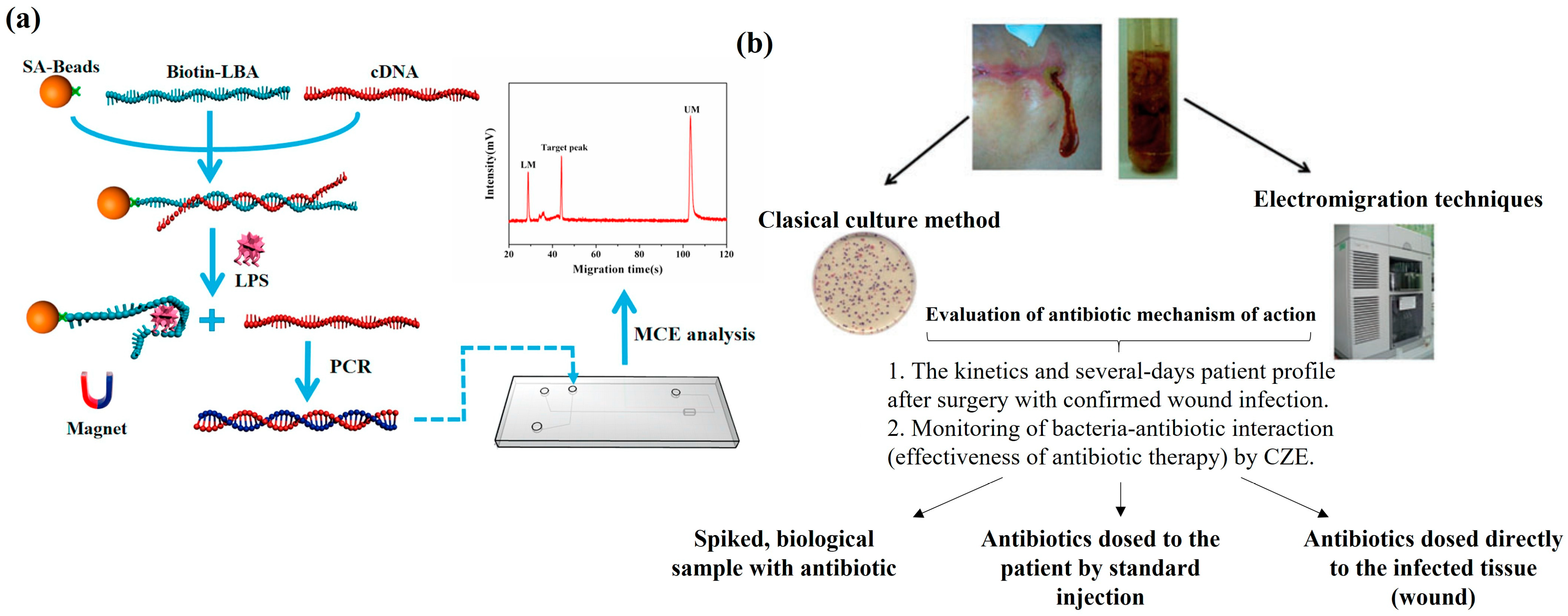 A Brief Review on the Analysis of dsDNA, RNA, Amino Acids and Bacteria ...