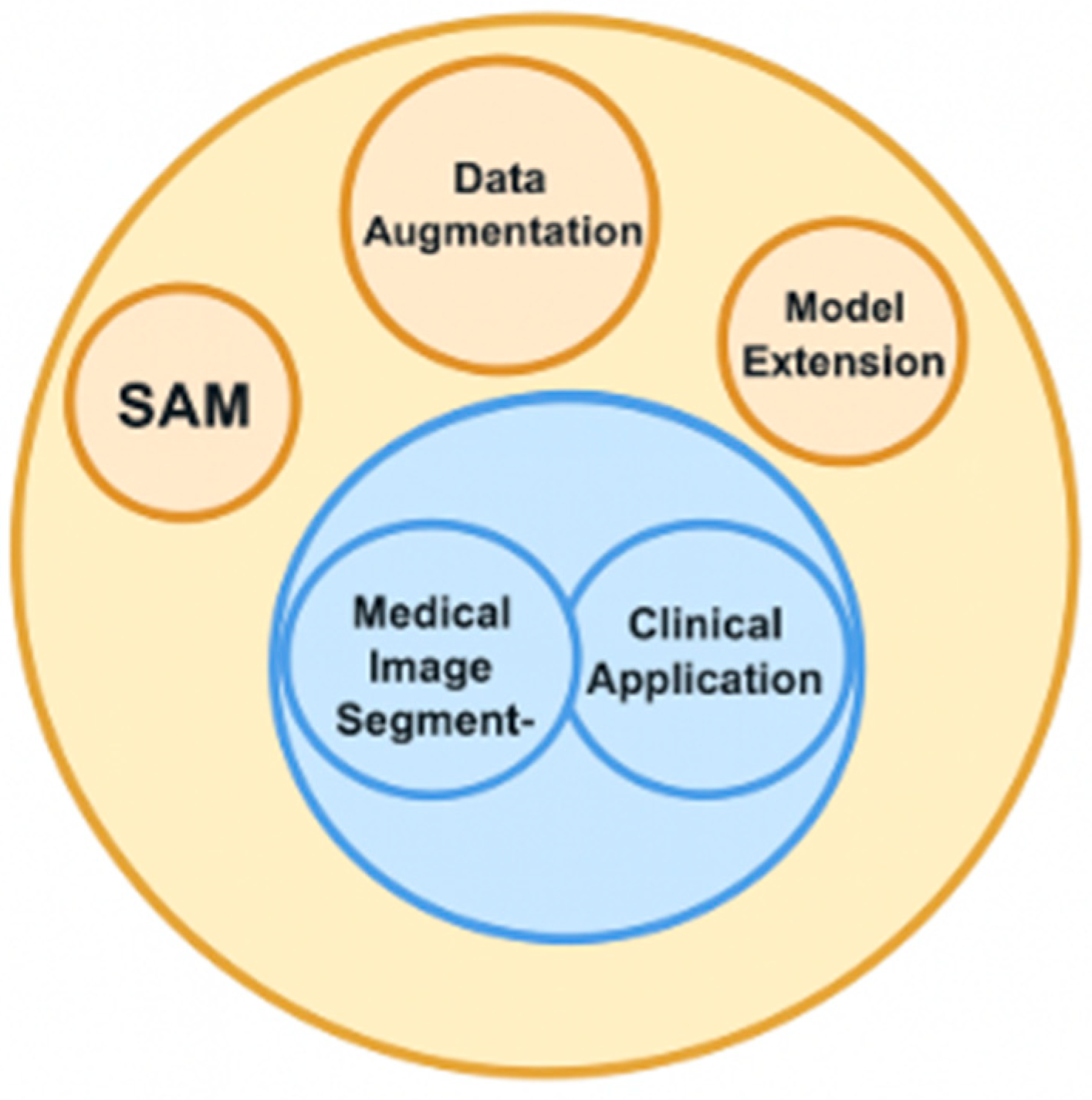A Review of Deep Learning Approaches Based on Segment Anything Model ...