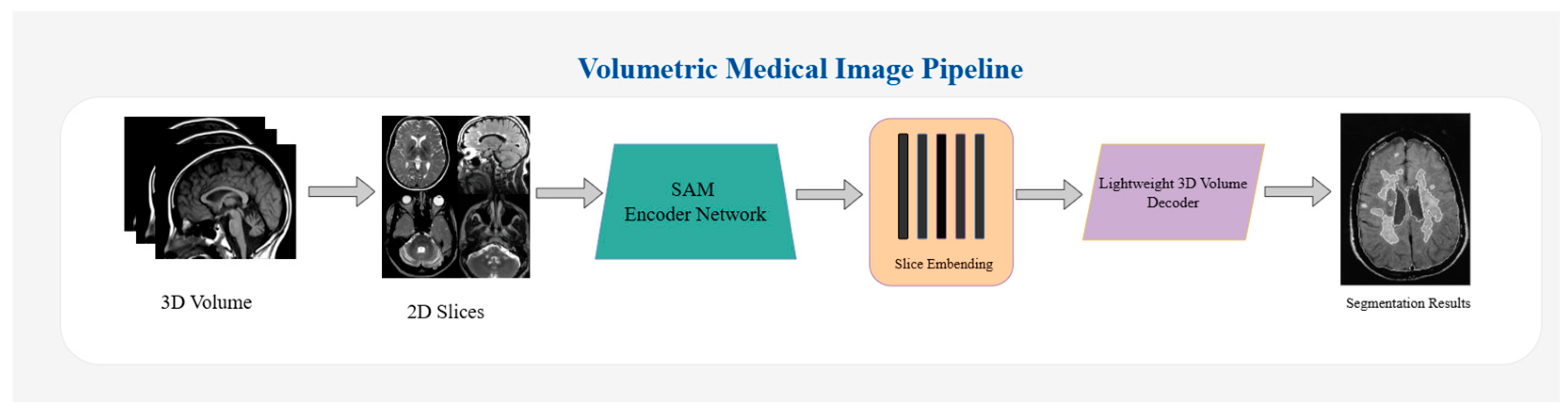A Review of Deep Learning Approaches Based on Segment Anything Model ...