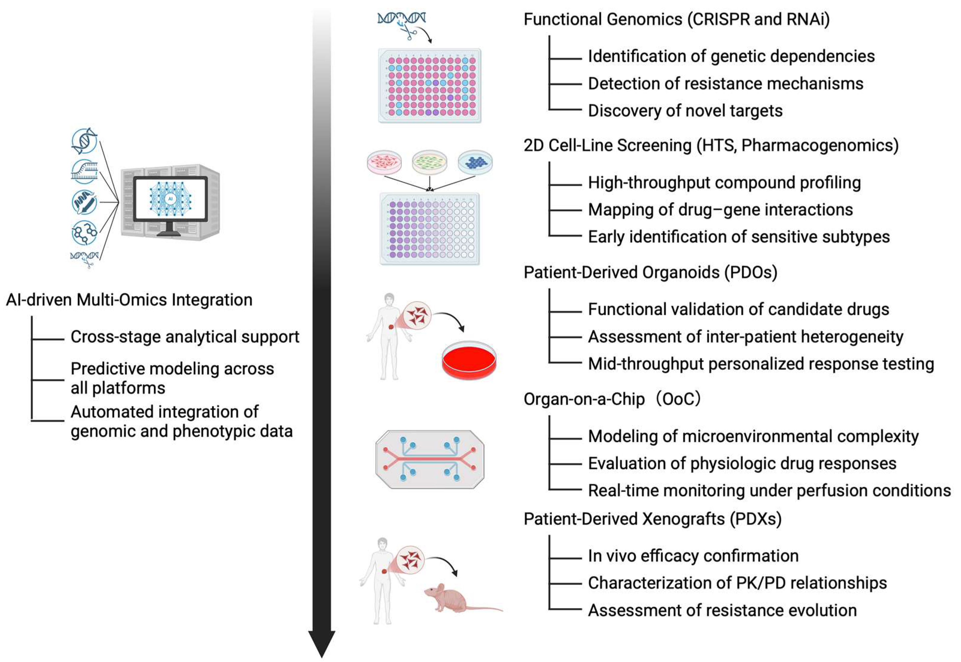 Advances and Challenges in Drug Screening for Cancer Therapy: A ...