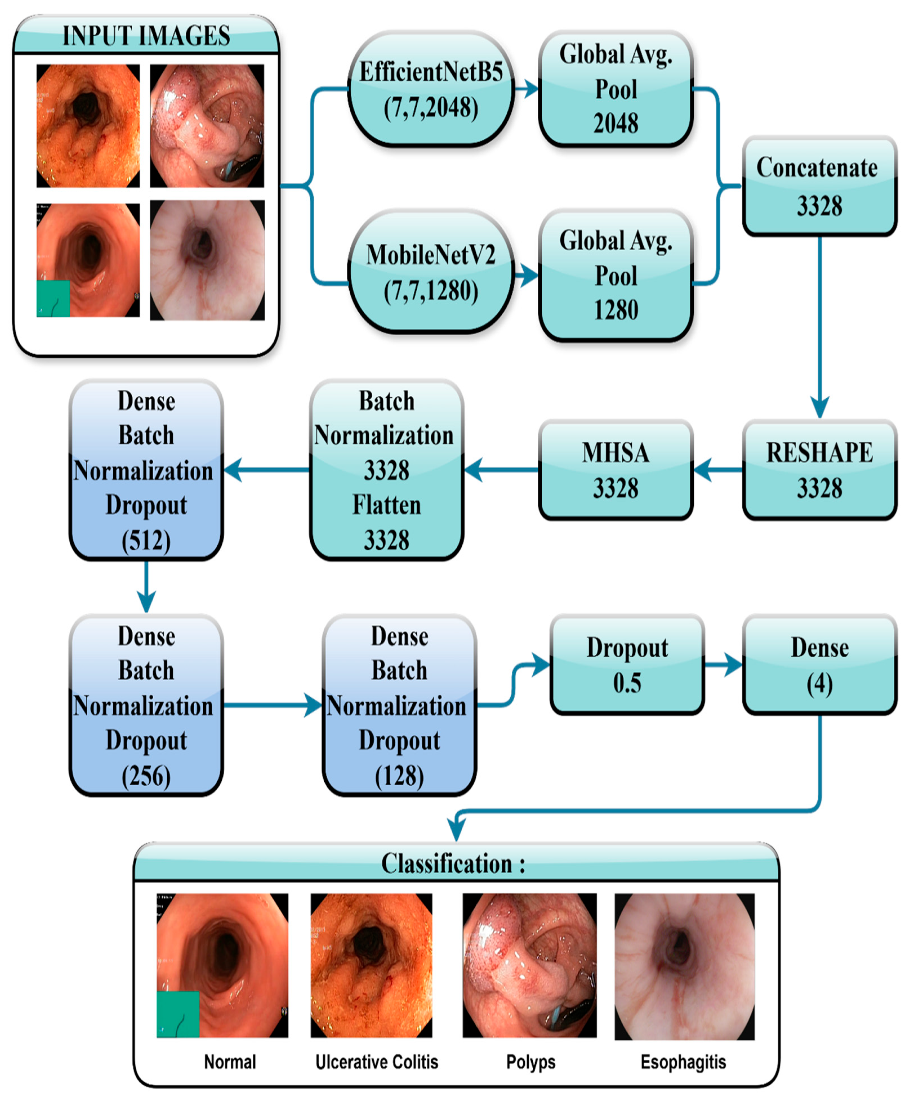 Gastrointestinal Lesion Detection Using Ensemble Deep Learning Through ...