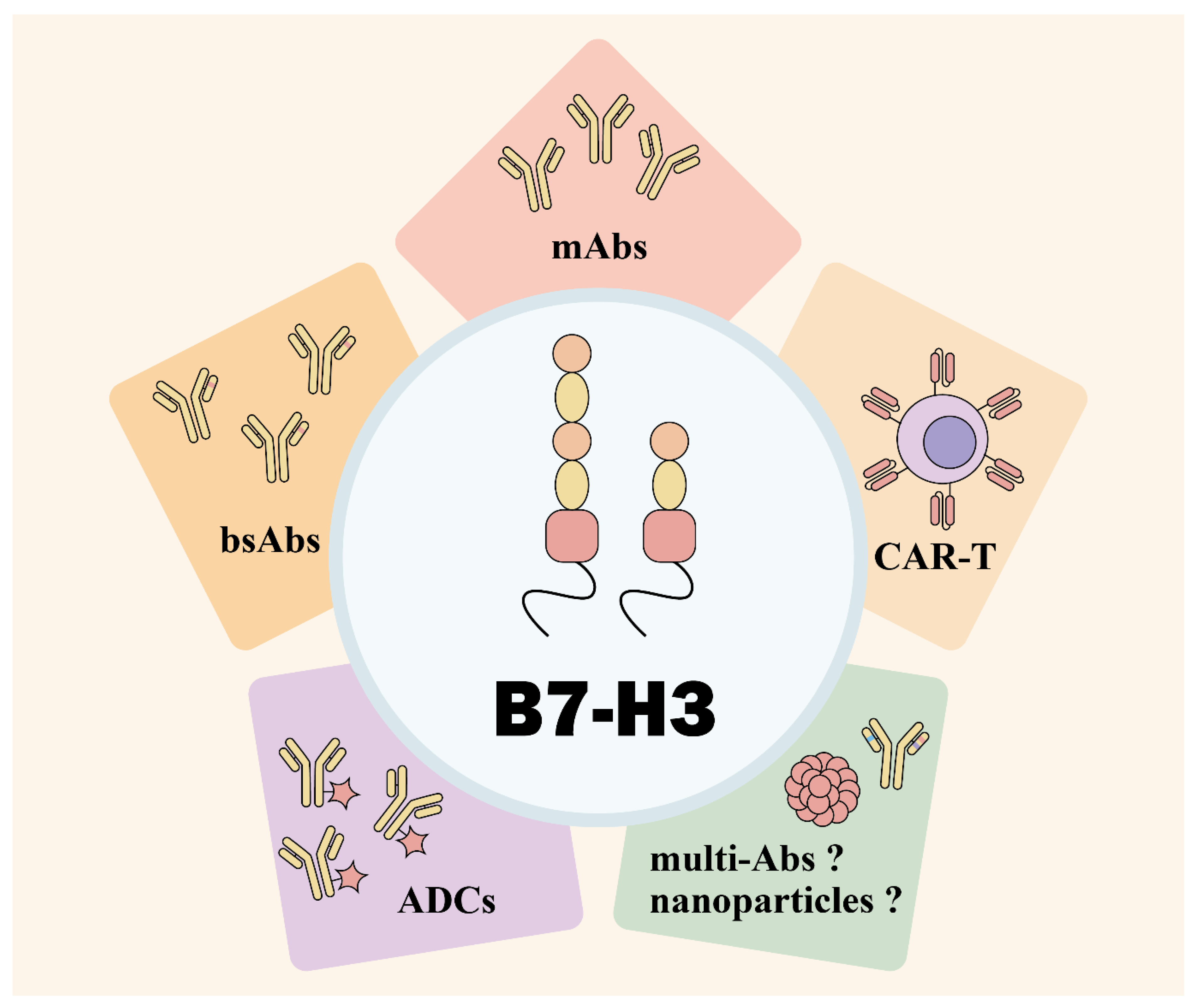 Exploiting B7-H3: Molecular Insights and Immunotherapeutic Strategies ...