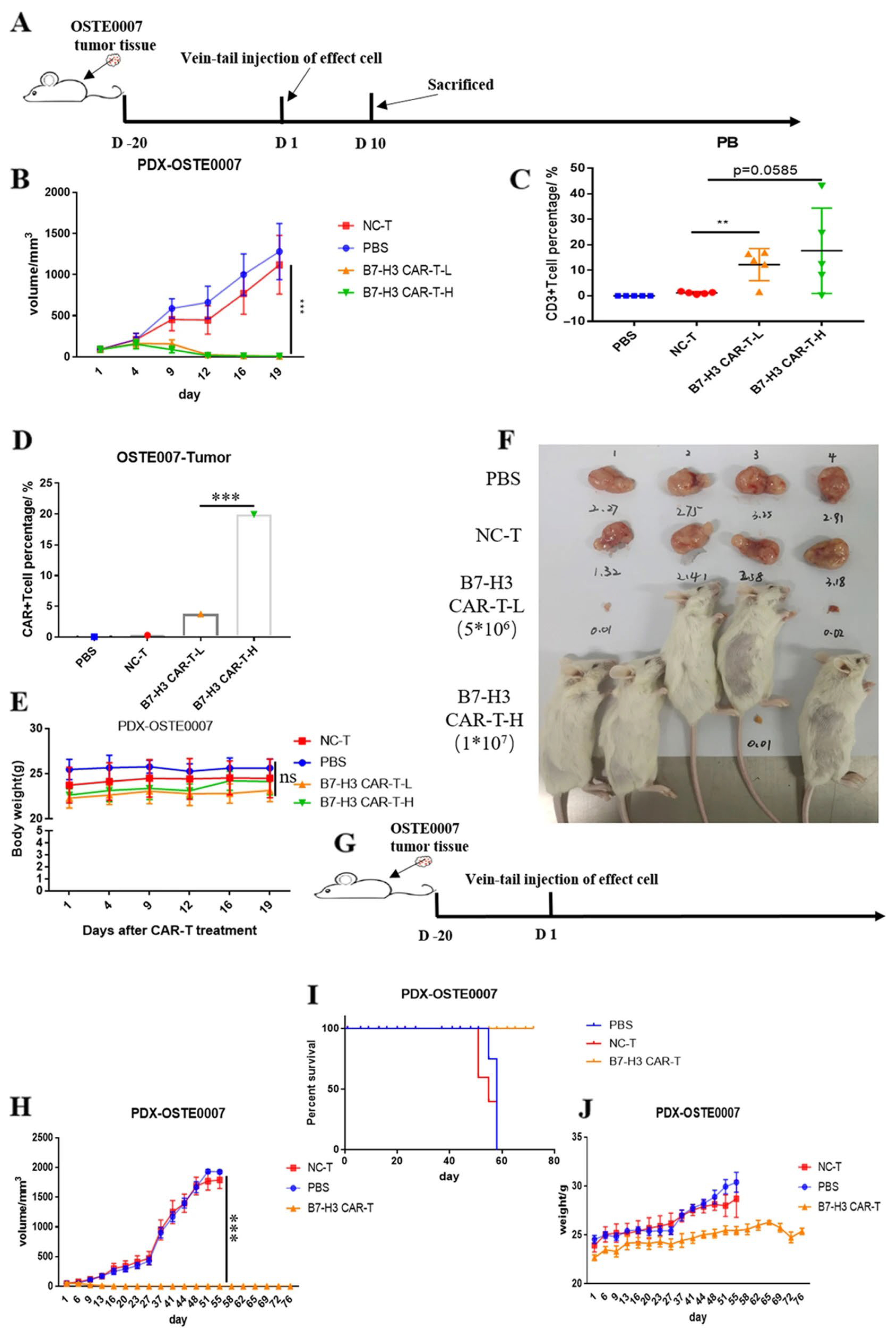 Exploiting B7-H3: Molecular Insights and Immunotherapeutic Strategies ...
