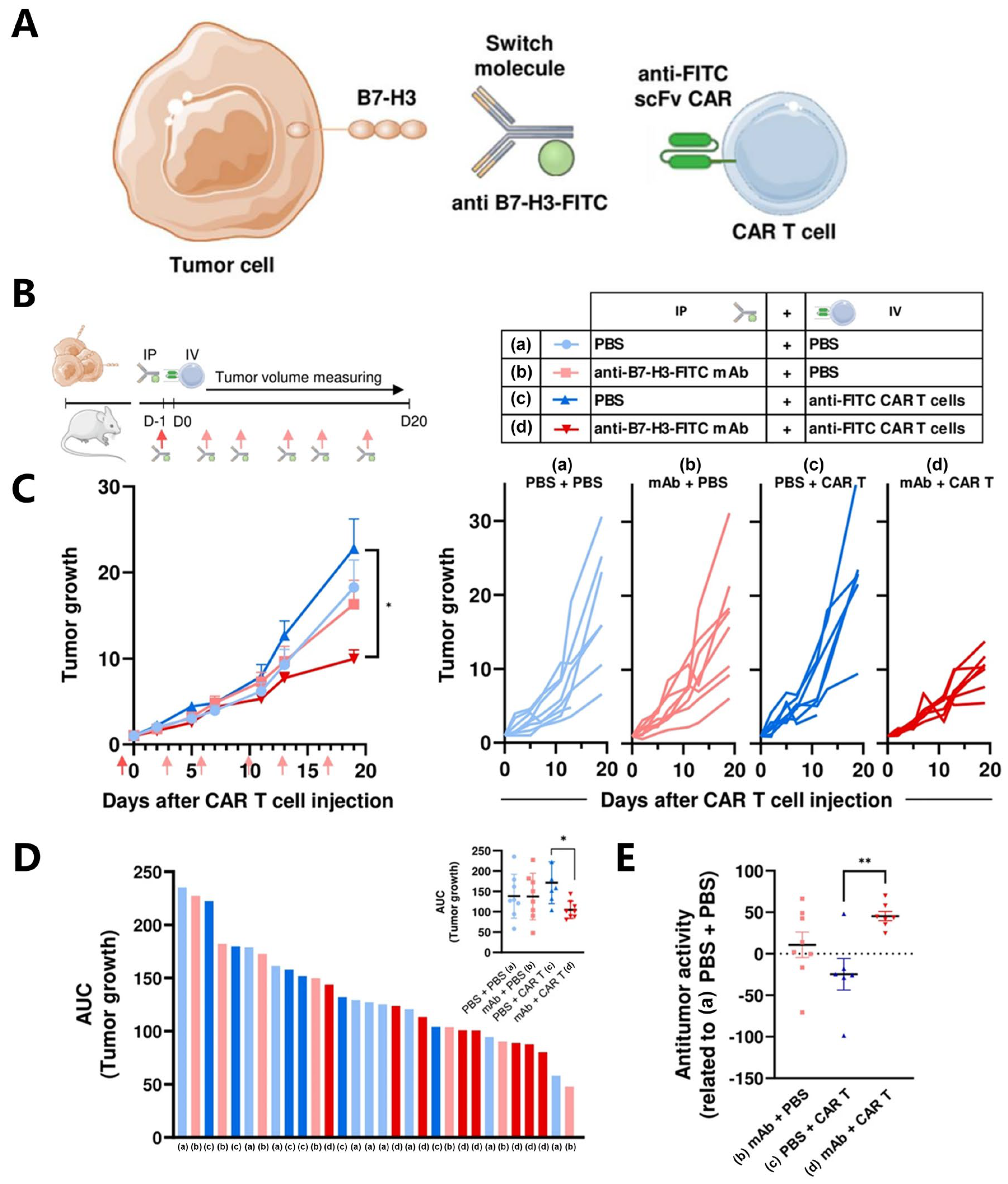 Exploiting B7-H3: Molecular Insights and Immunotherapeutic Strategies ...