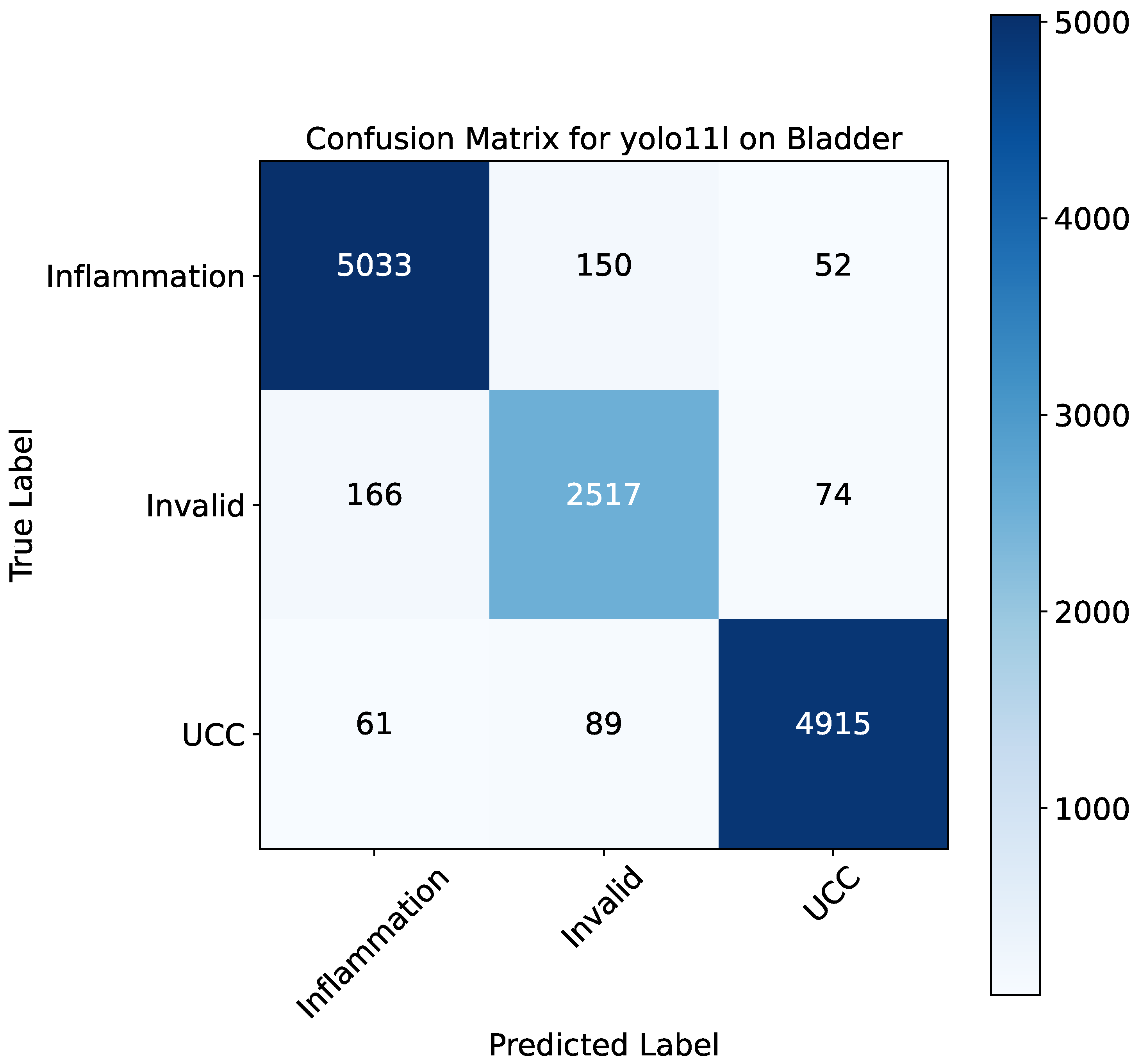 Explainable Computational Imaging for Precision Oncology: An ...