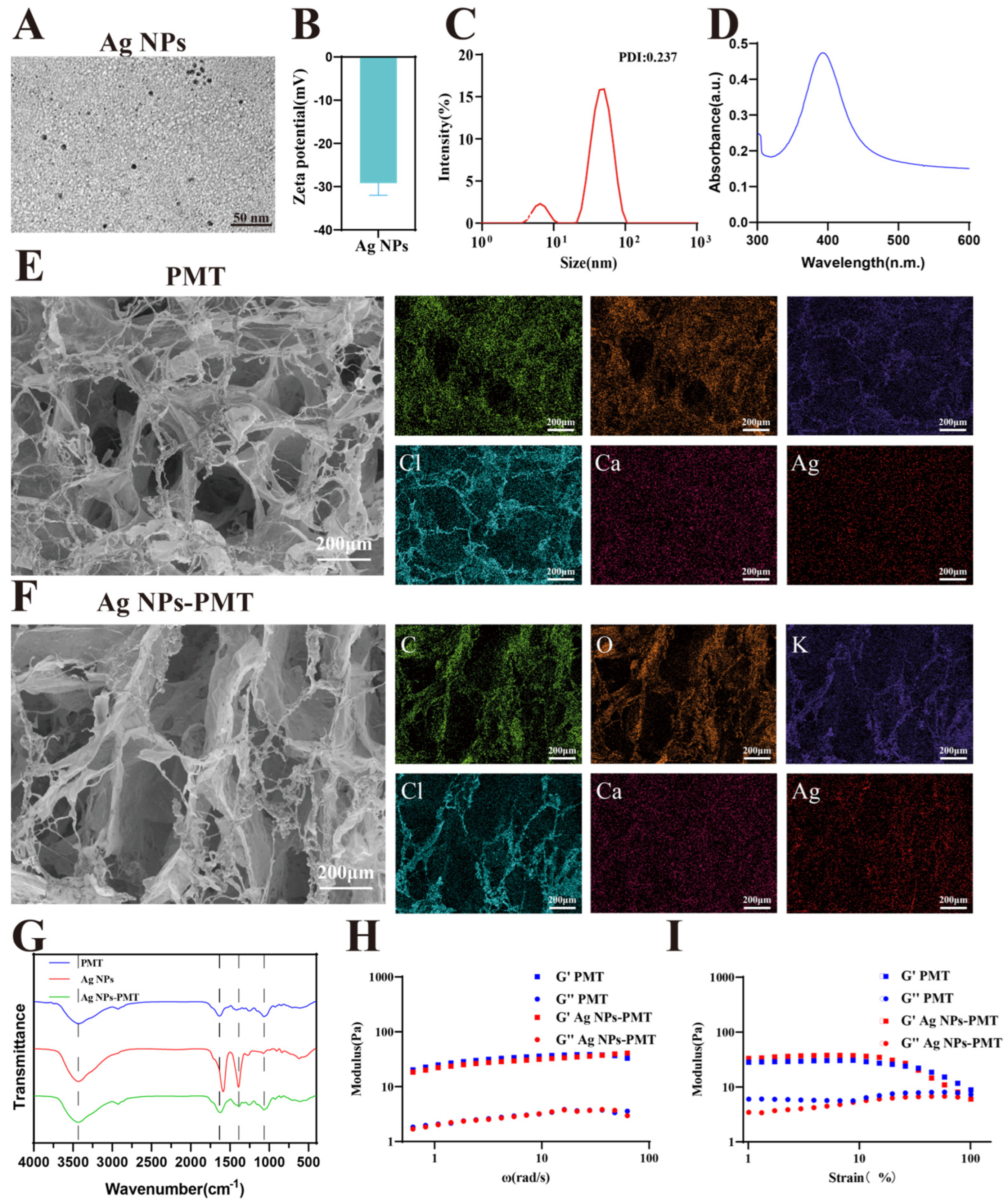 Bioengineered Premna Microphylla-Silver Nanoparticle Hydrogel for ...