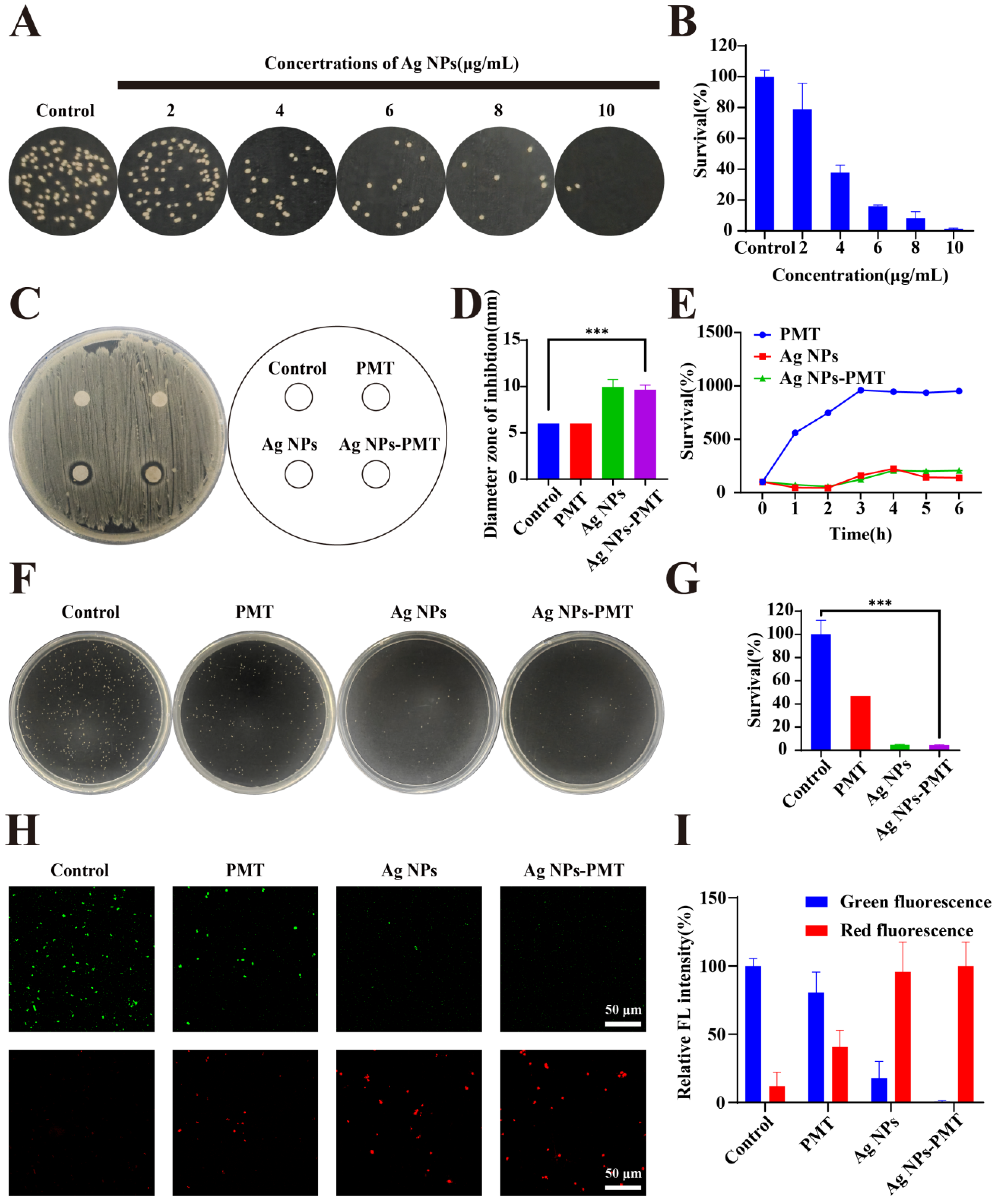 Bioengineered Premna Microphylla-Silver Nanoparticle Hydrogel for ...