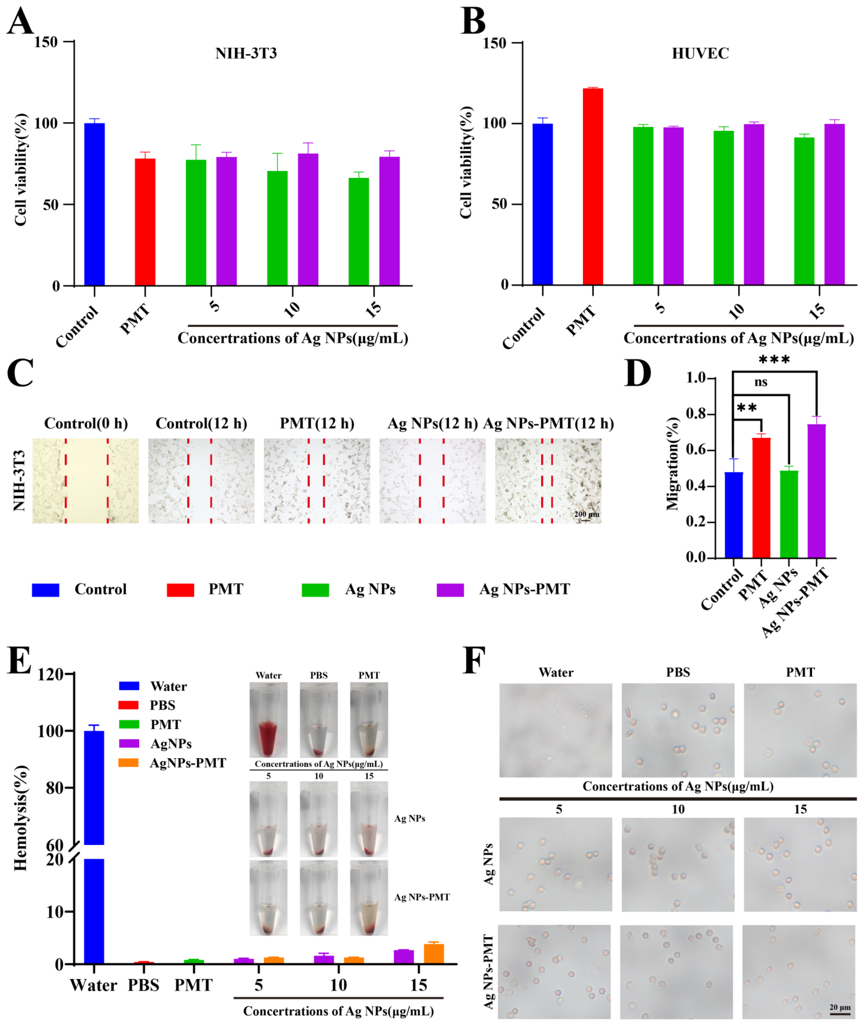 Bioengineered Premna Microphylla-Silver Nanoparticle Hydrogel for ...