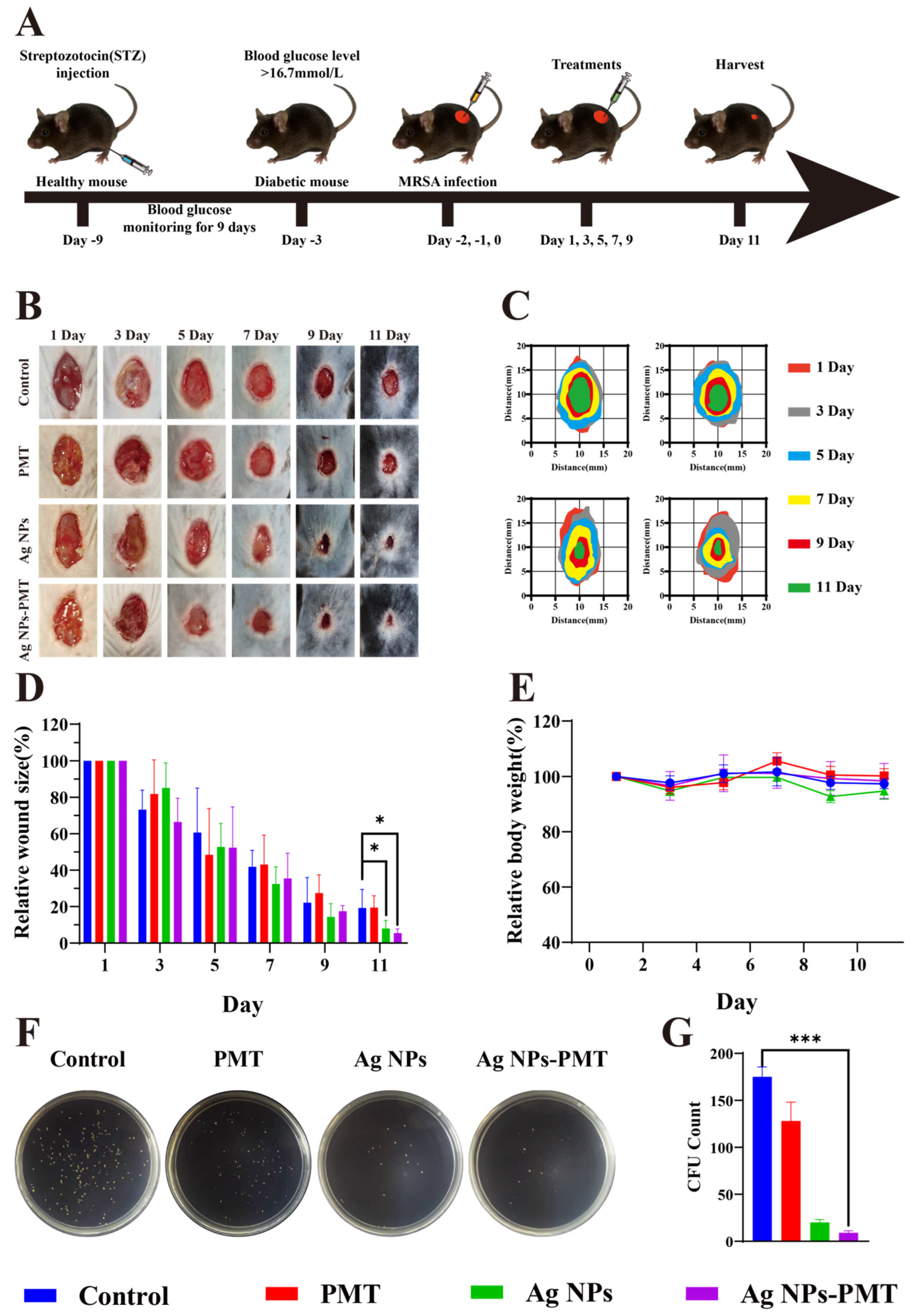 Bioengineered Premna Microphylla-Silver Nanoparticle Hydrogel for ...