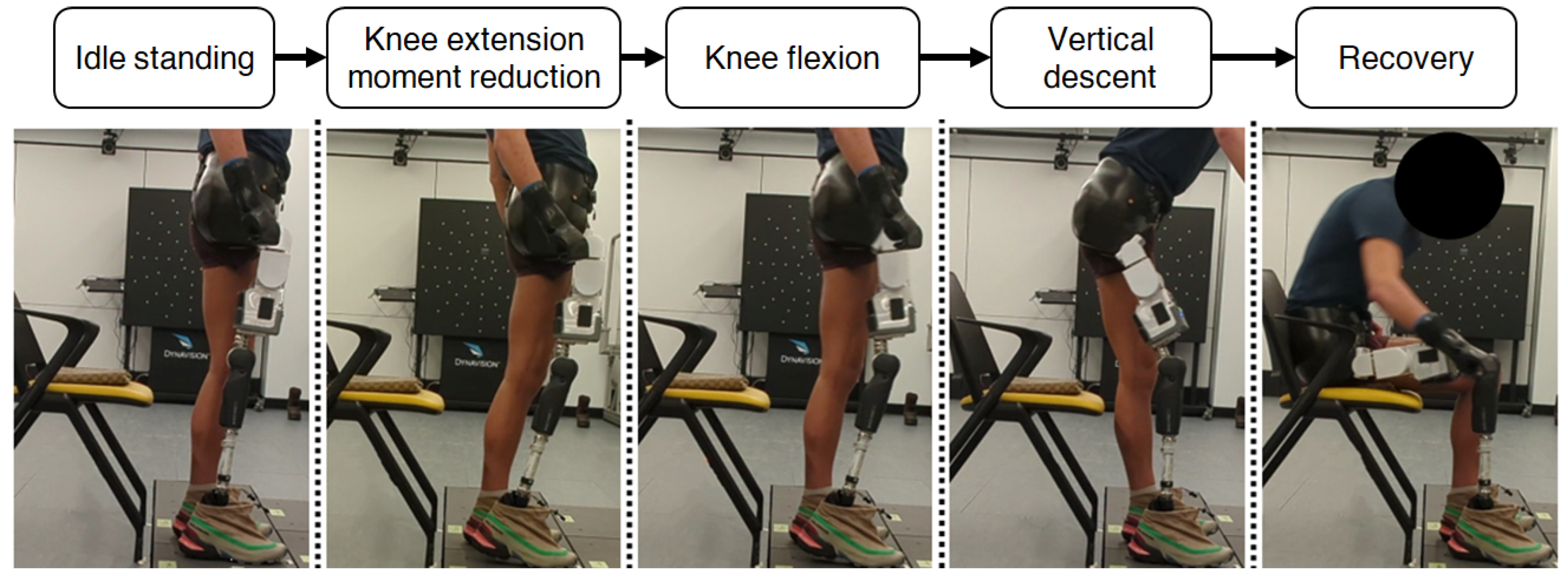 Design and Evaluation of Stand-to-Sit and Sit-to-Stand Control ...