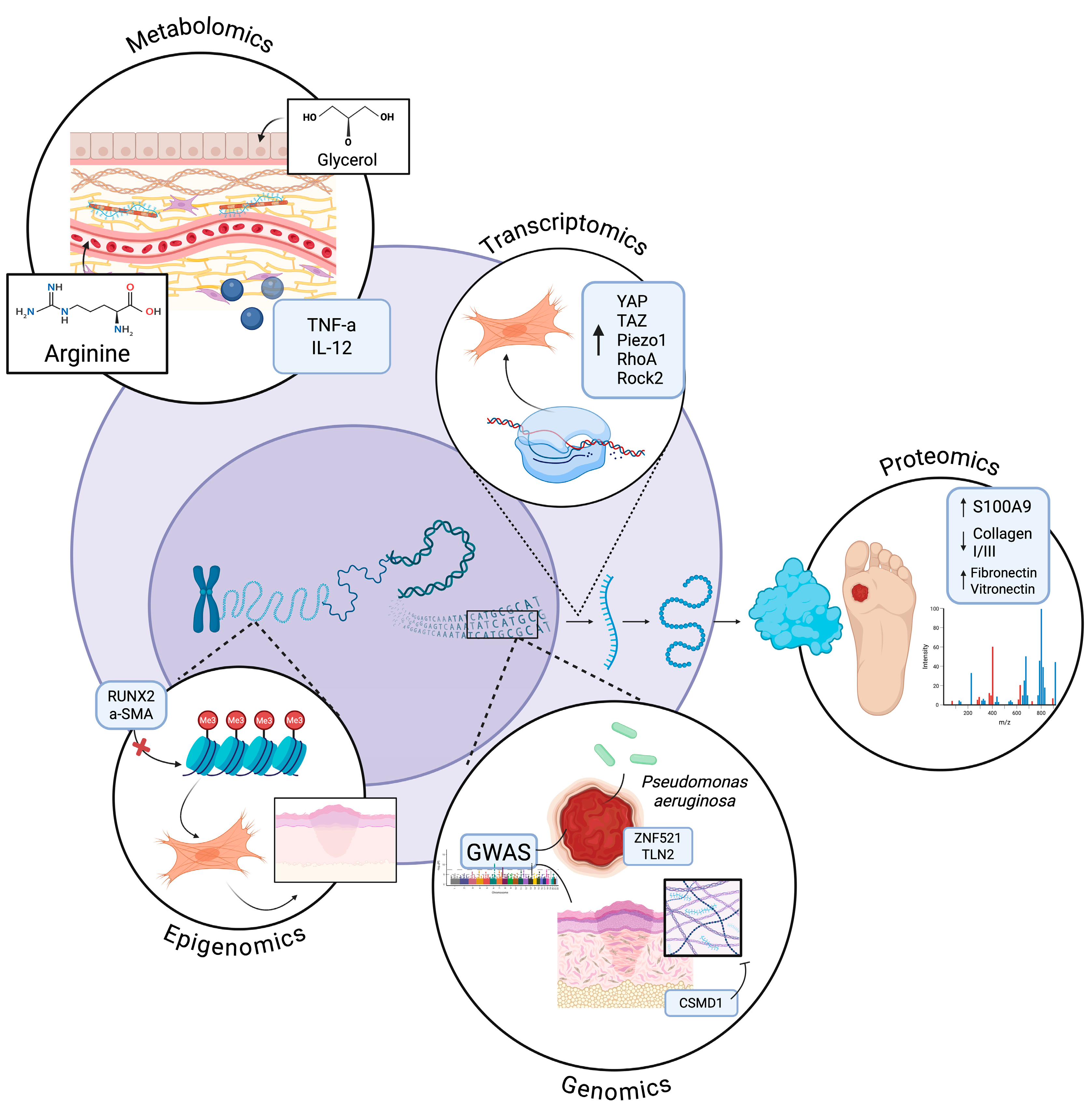 Understanding and Advancing Wound Healing in the Era of Multi-Omic ...
