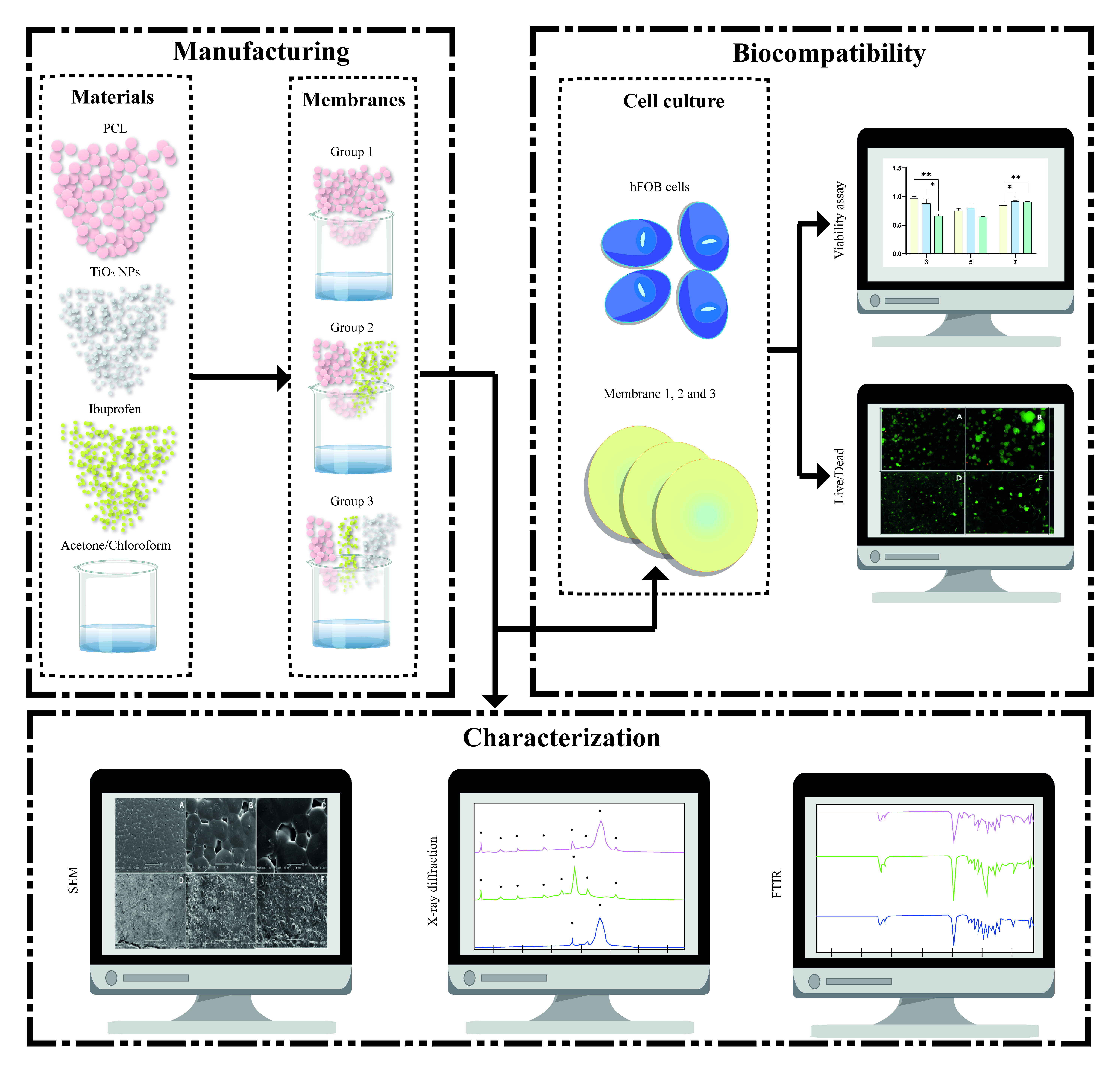 Synthesis and Characterization of Ibuprofen–TiO2 Functionalized PCL ...