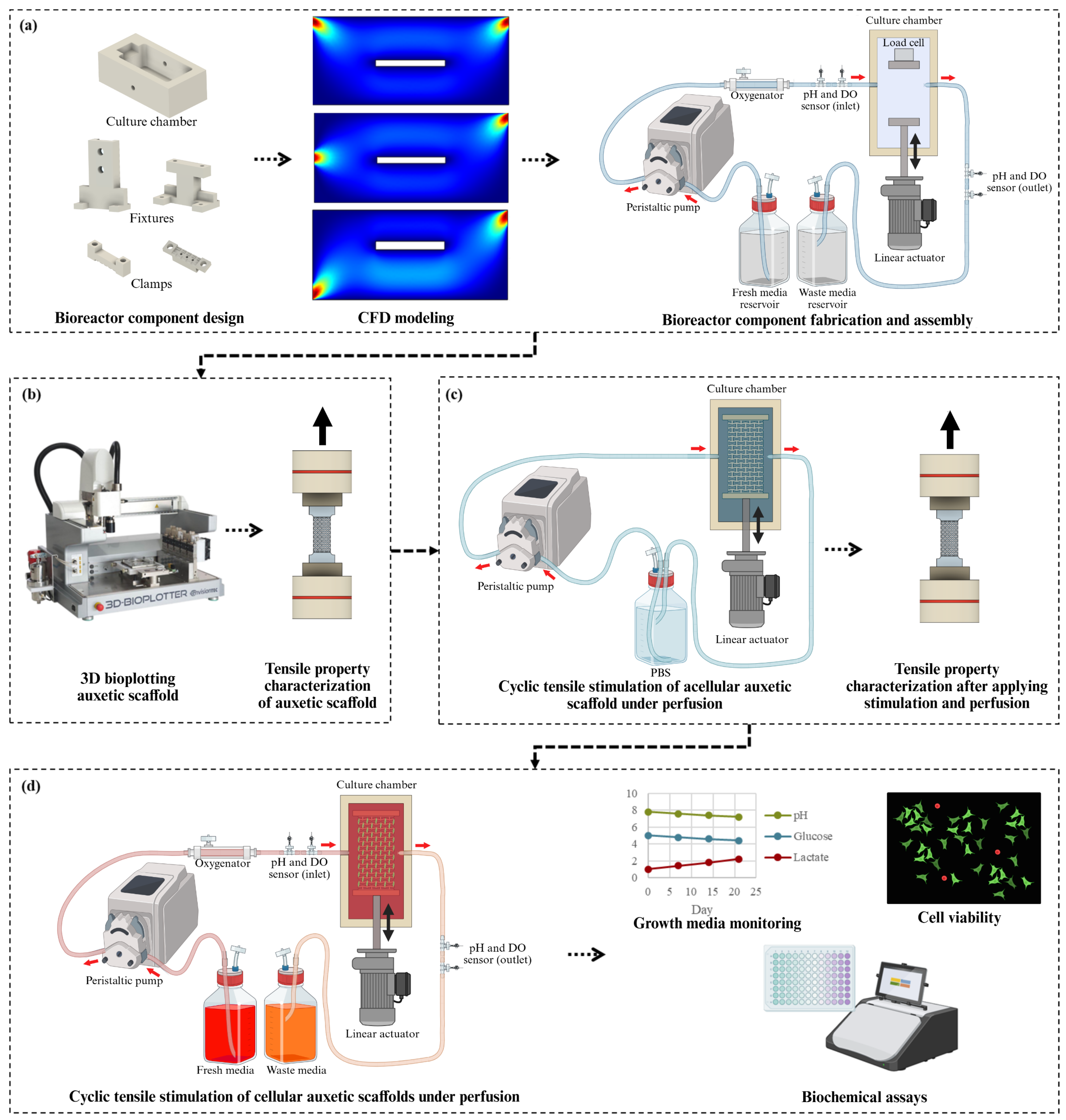 Design and Validation of a Multi-Modal Bioreactor System: Assessing the ...