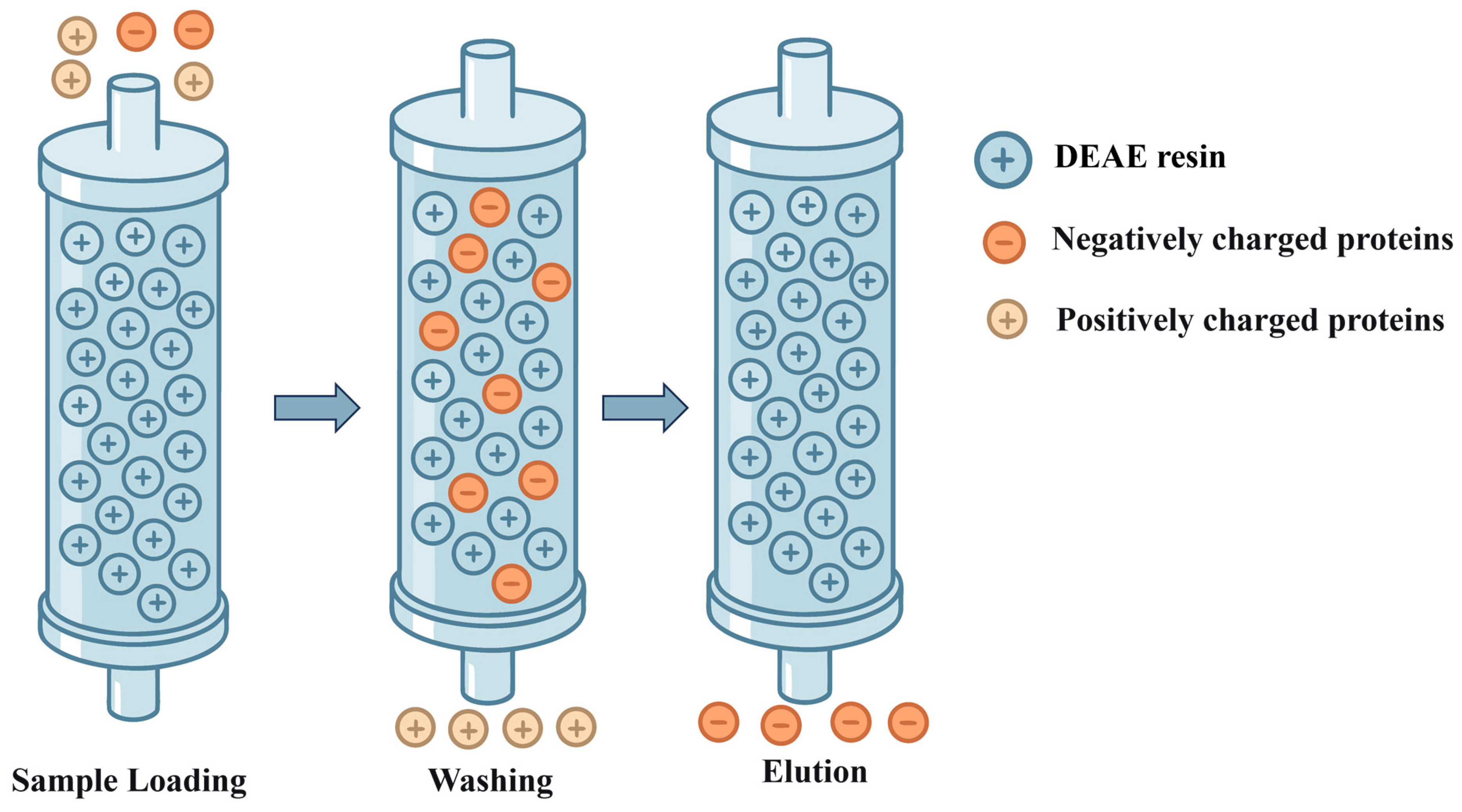 Progress in the Expression, Purification, and Characterization of ...