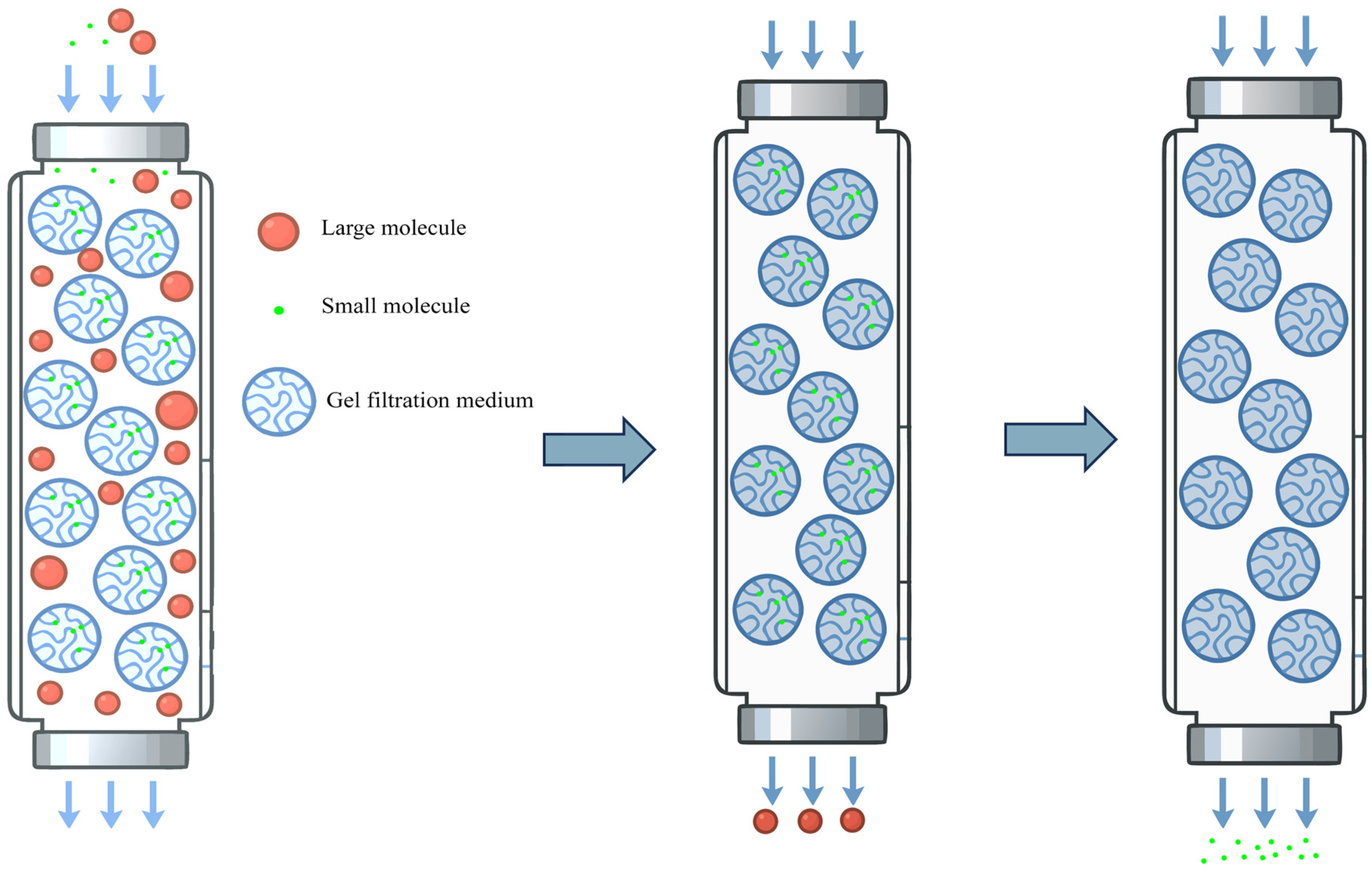 Progress in the Expression, Purification, and Characterization of ...