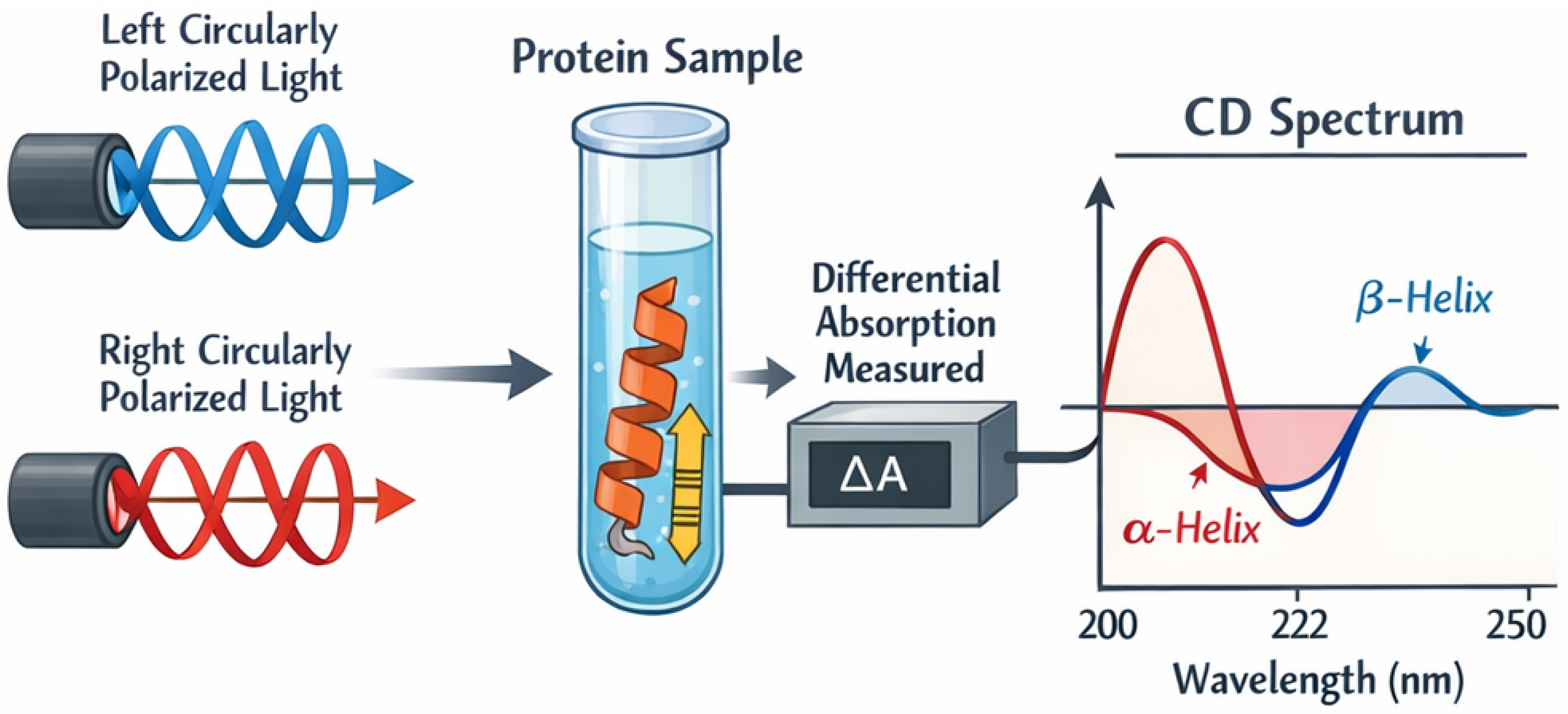 Progress in the Expression, Purification, and Characterization of ...