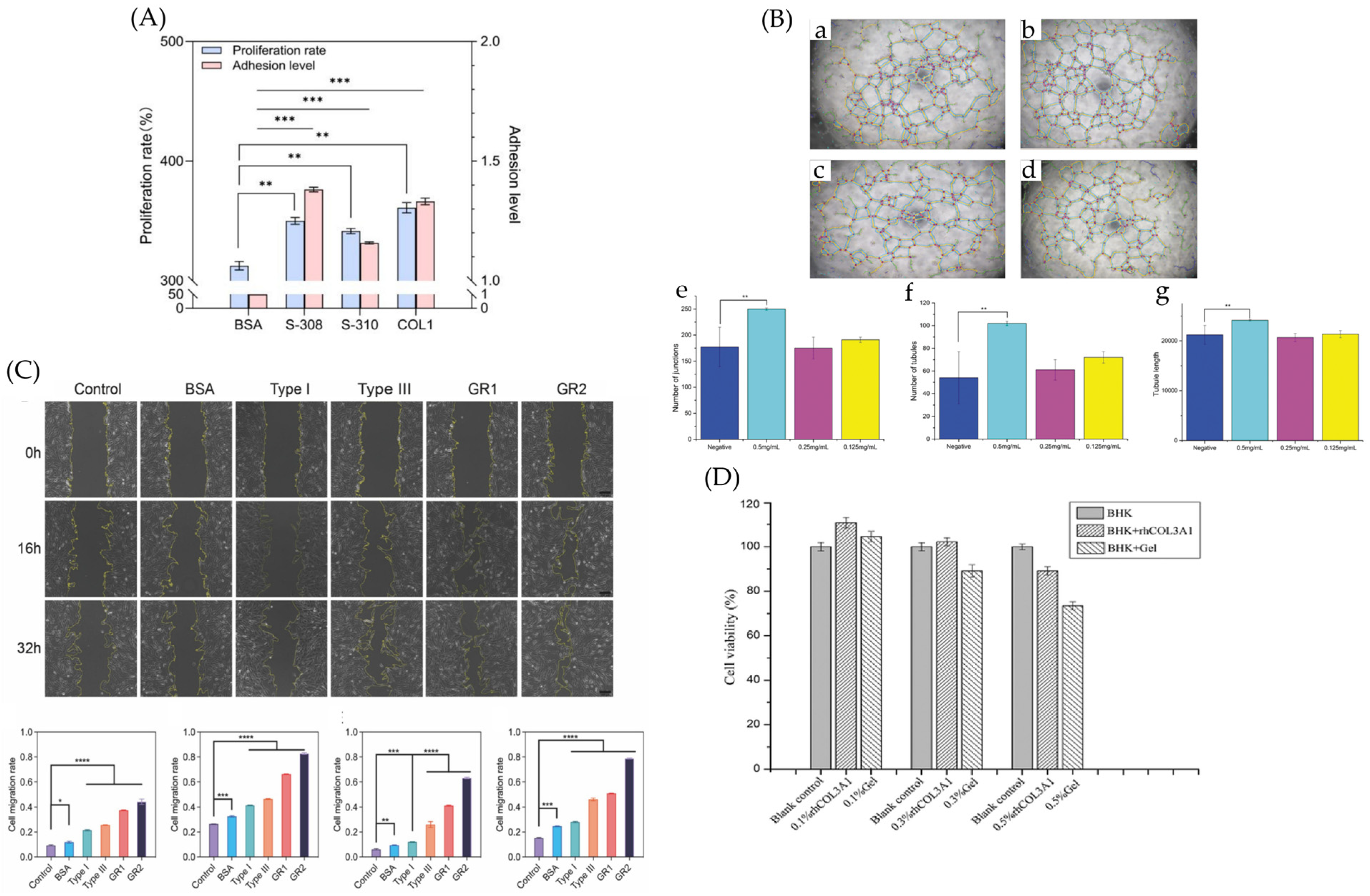 Progress in the Expression, Purification, and Characterization of ...