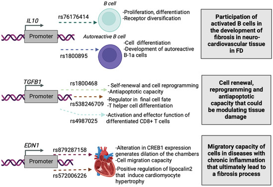 Prediction of Regulatory SNPs in Putative Minor Genes of the Neuro ...