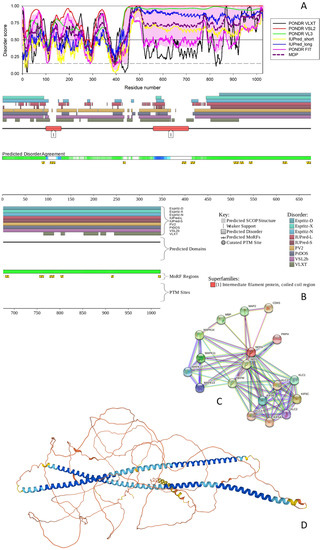 Intrinsic Disorder as a Natural Preservative: High Levels of Intrinsic ...