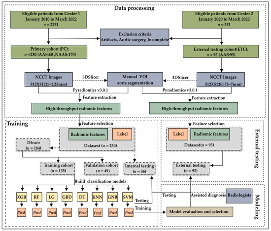 Biology | Free Full-Text | Diagnosis of Acute Aortic Syndromes on Non ...