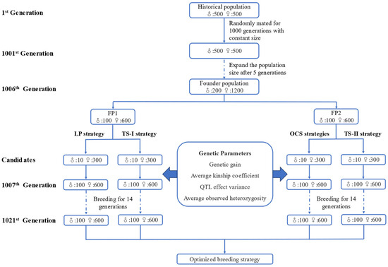 Evaluation of Linear Programming and Optimal Contribution Selection ...