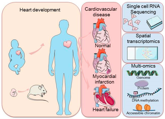 Single-Cell RNA Sequencing and Combinatorial Approaches for ...