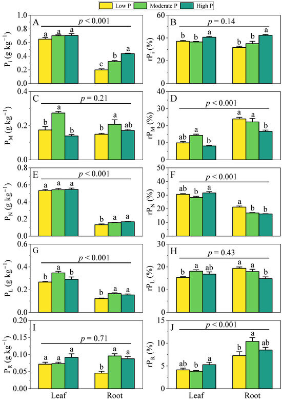 Differential Phosphorus Allocation in Leaves and Roots of Yushania ...