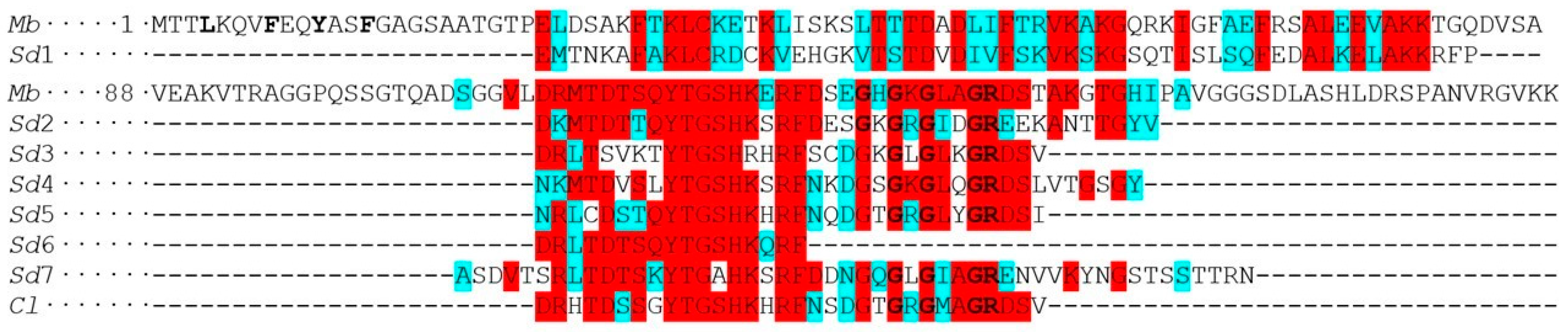 Rethinking the Evolution of Tubulin Polymerization Promoting Proteins