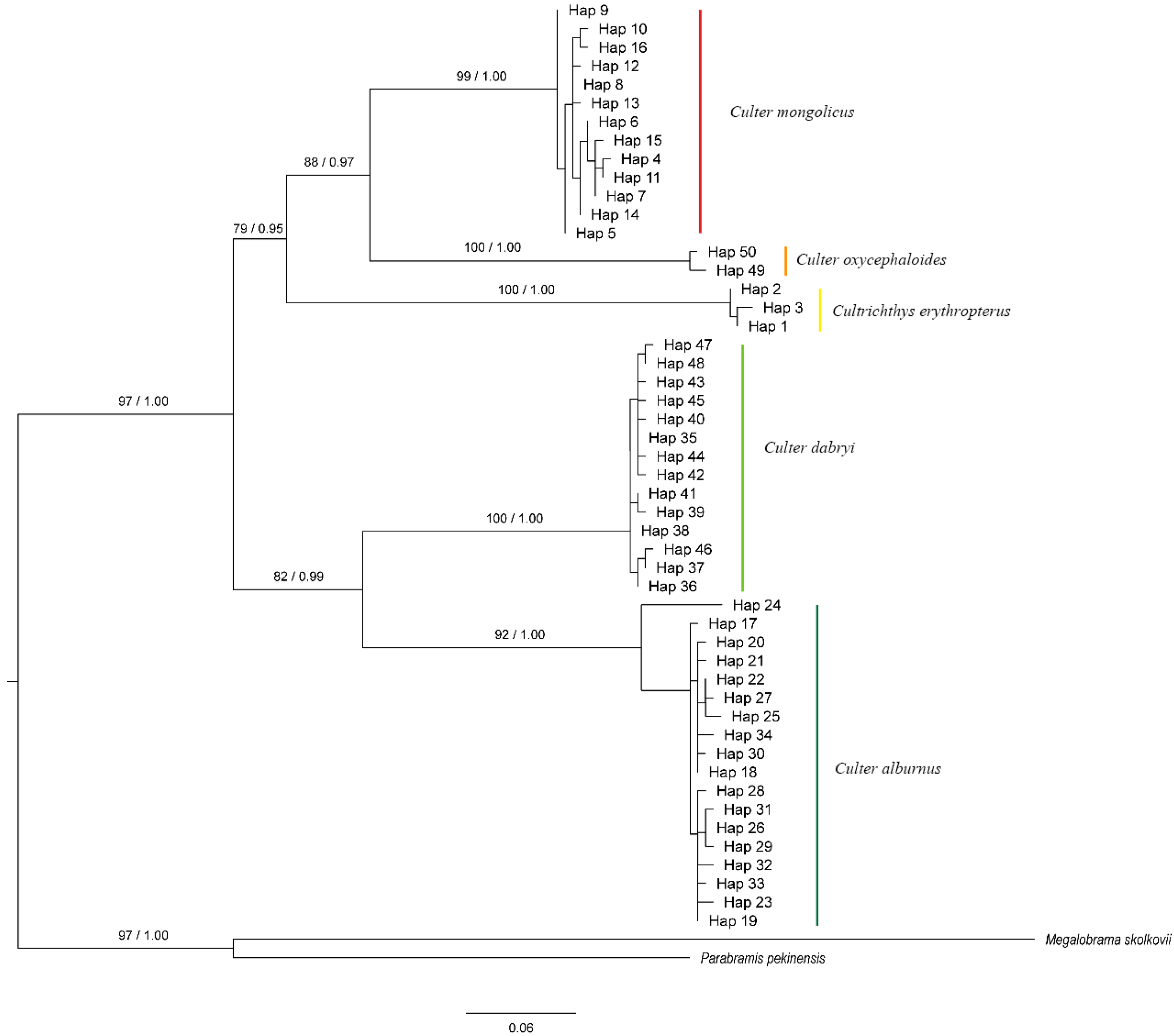 Genetic Diversity and Phylogenetic Analysis of Five Cultrinae Species ...