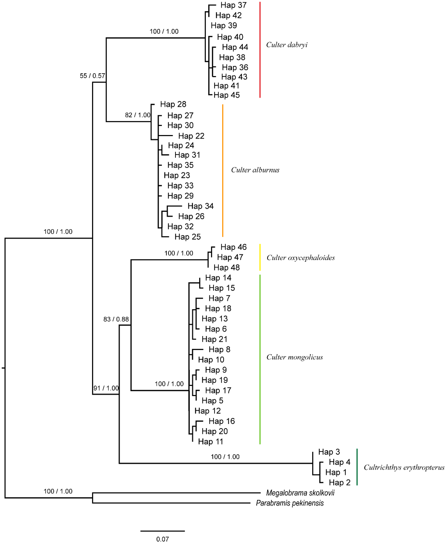 Genetic Diversity and Phylogenetic Analysis of Five Cultrinae Species ...