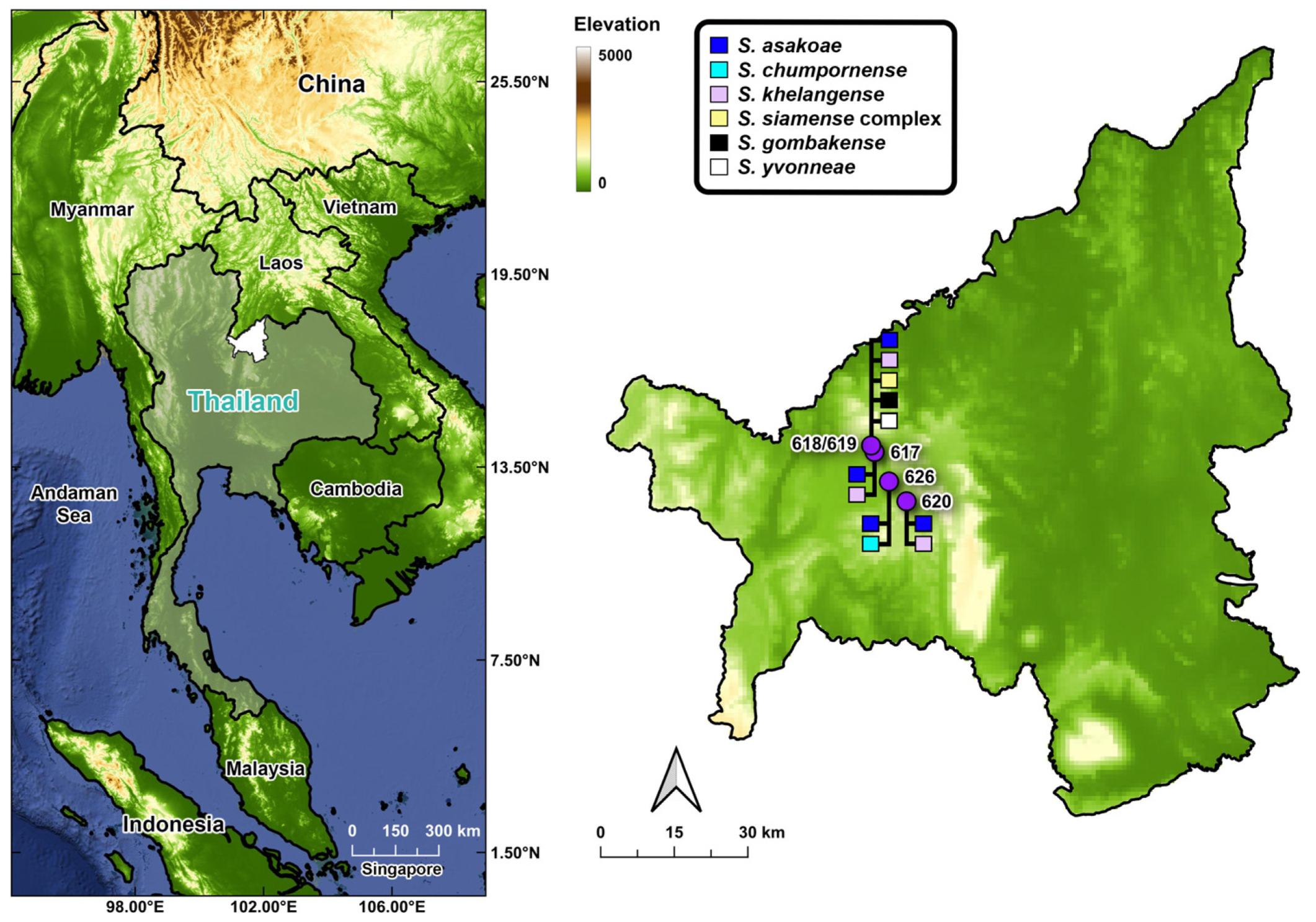 Generalists or Specialists? Testing Genetic Specificity of ...