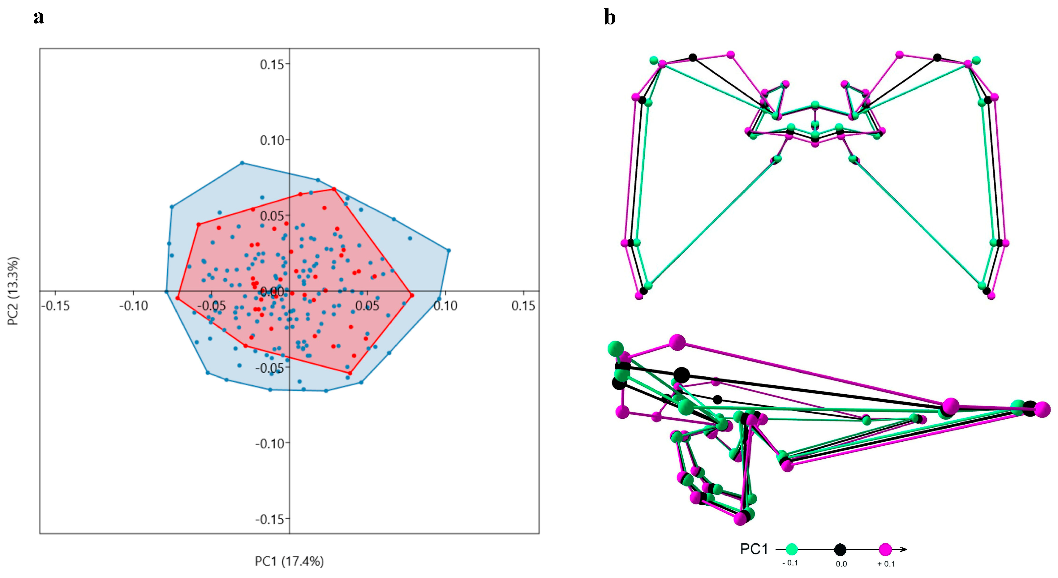 Basis Cranii Interna in Metopism: A Comparative Geometric Morphometric ...
