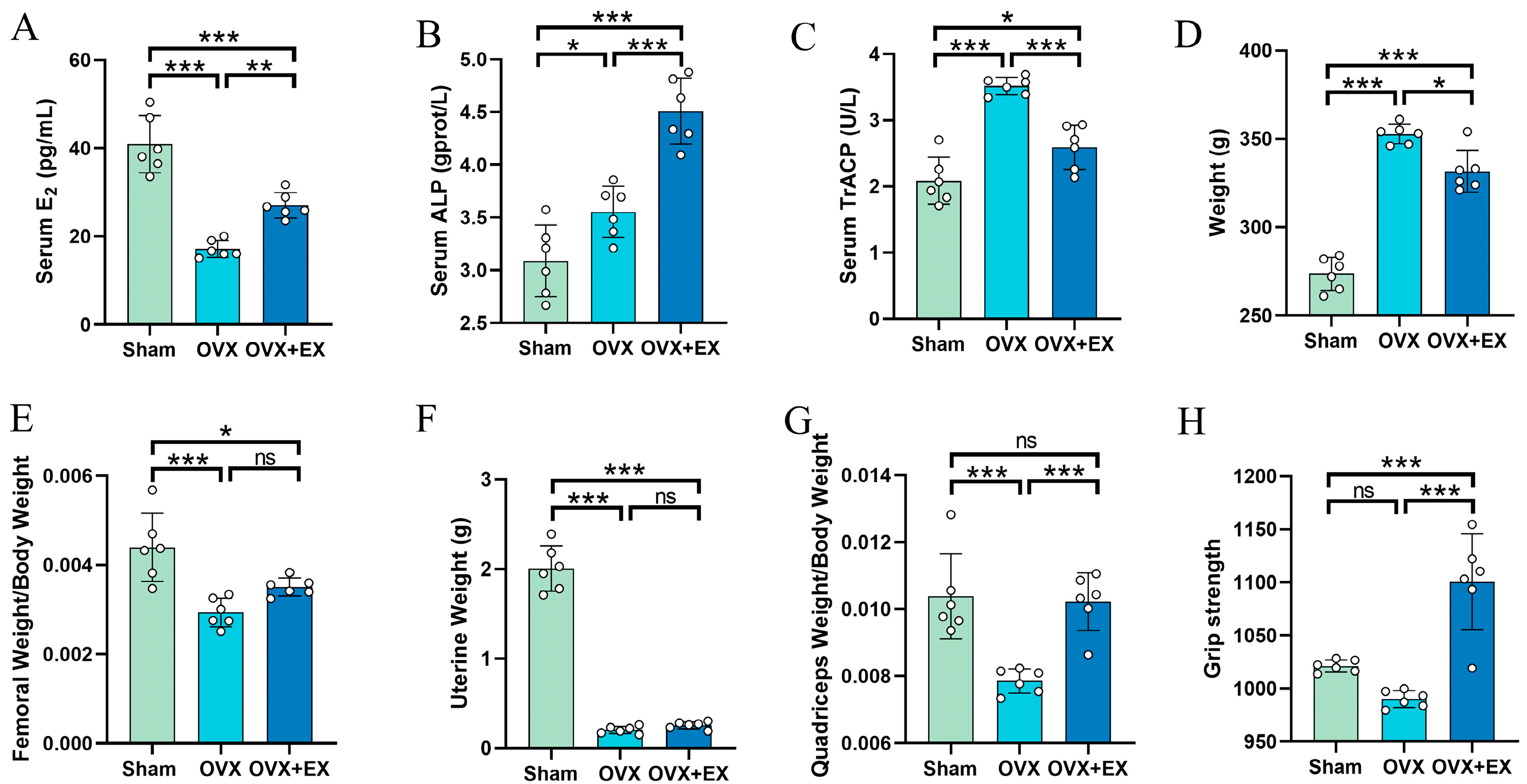 Weight-Bearing Ladder Climbing Exercise Improves Bone Loss and Bone ...